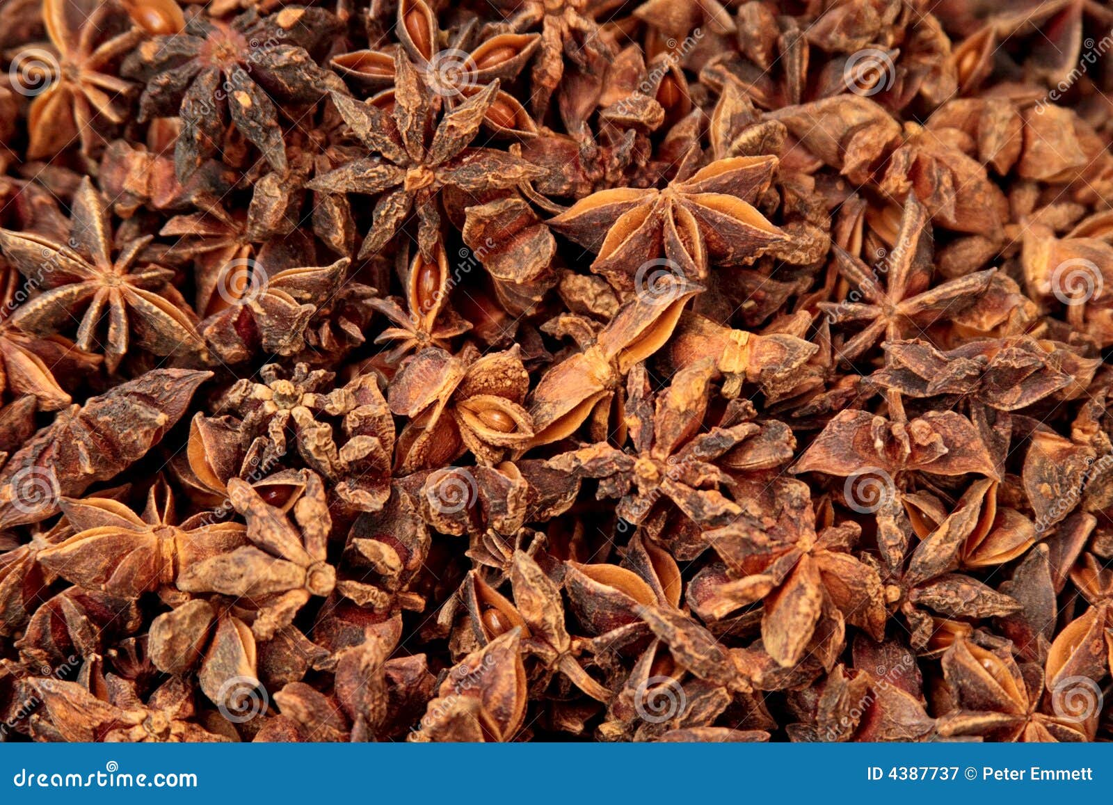 De Anijsplantkruiden Van De Ster Stock Afbeelding - Image of kruiden ...