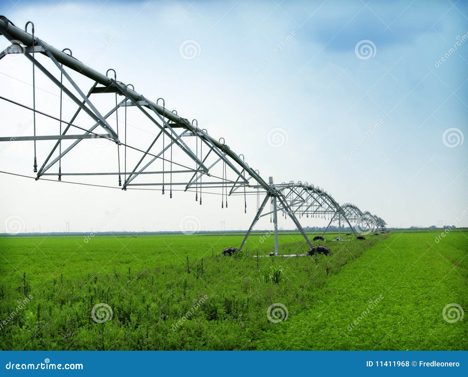 De Apparatuur Van De Irrigatie Stock Foto - Image of gewas, deel: 11411968