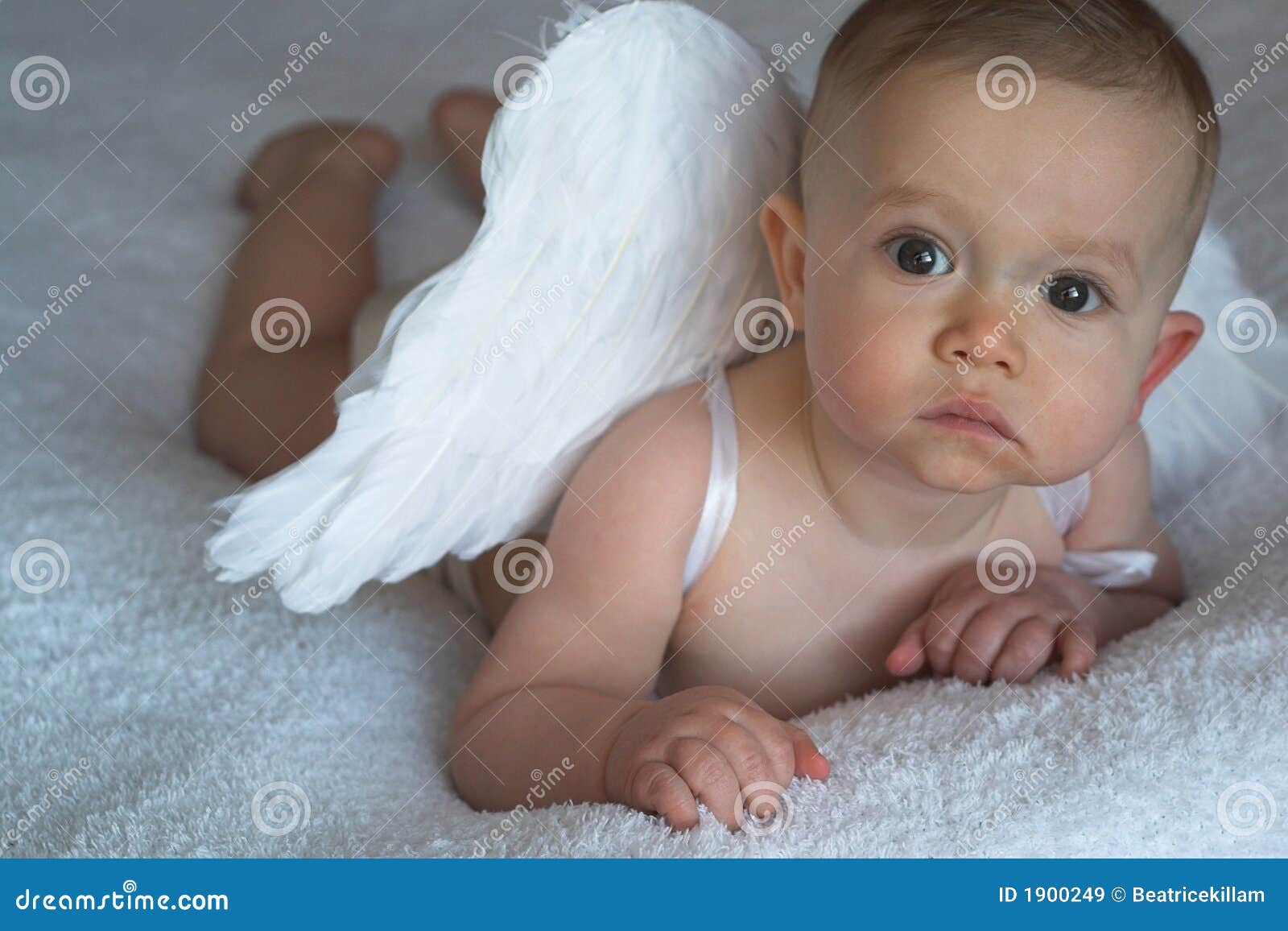 De Baby van de engel stock afbeelding. Image of vleugels - 1900249