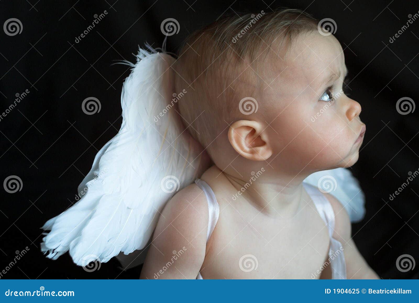 De Baby van de engel stock afbeelding. Image of engelachtig - 1904625