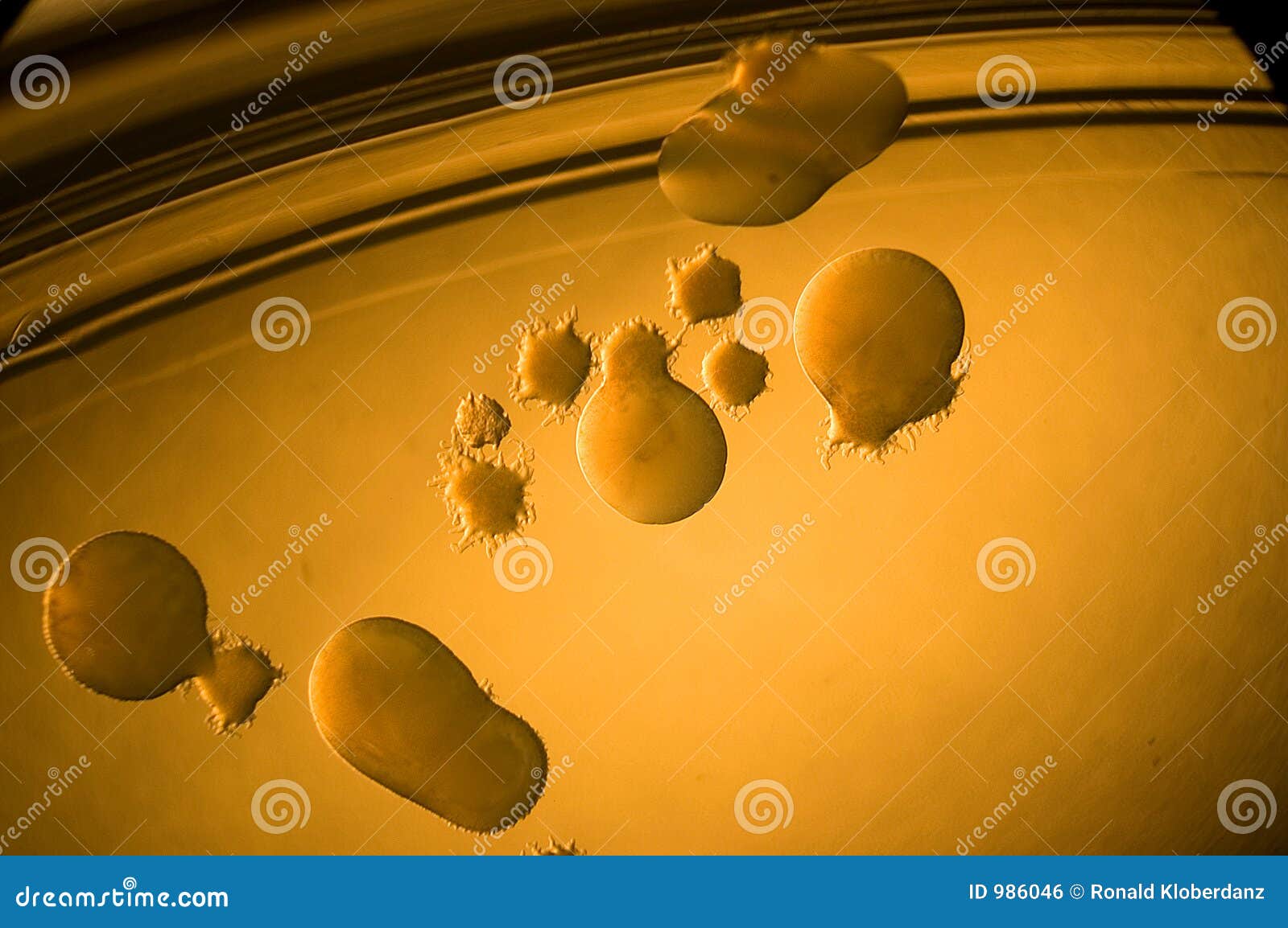 De bacteriële groei stock foto. Image of hulp, kanker, weefsel - 986046