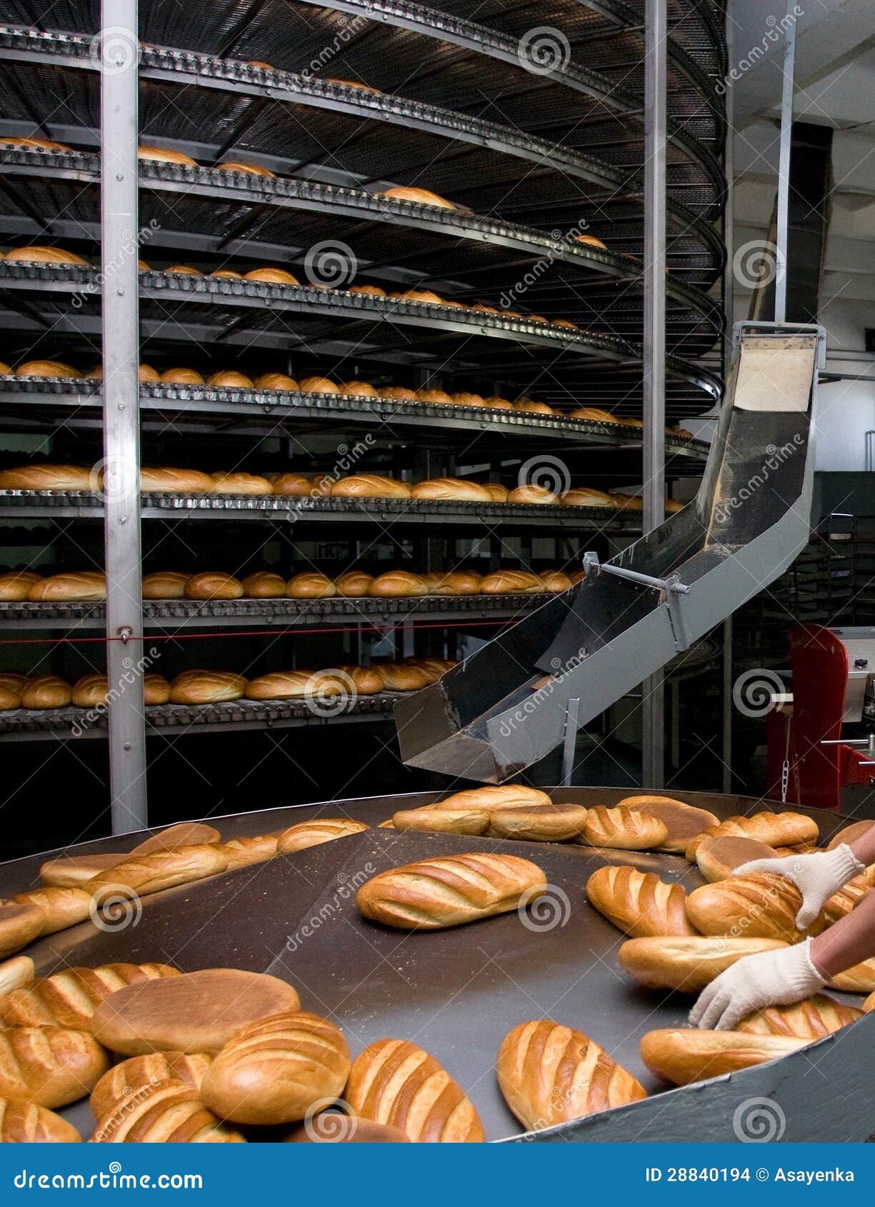 De bakkerij van het brood stock foto. Image of rijen - 28840194