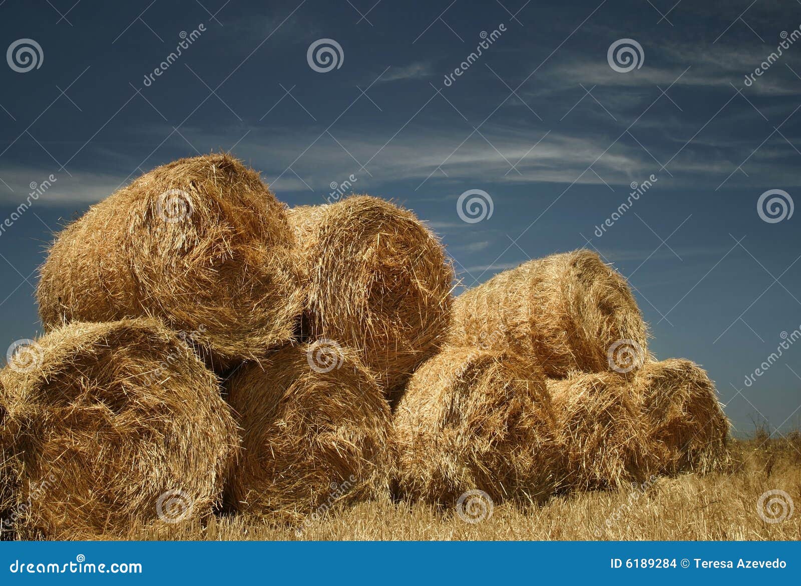 De balen van het hooi stock foto. Image of gebied, verzamelen - 6189284