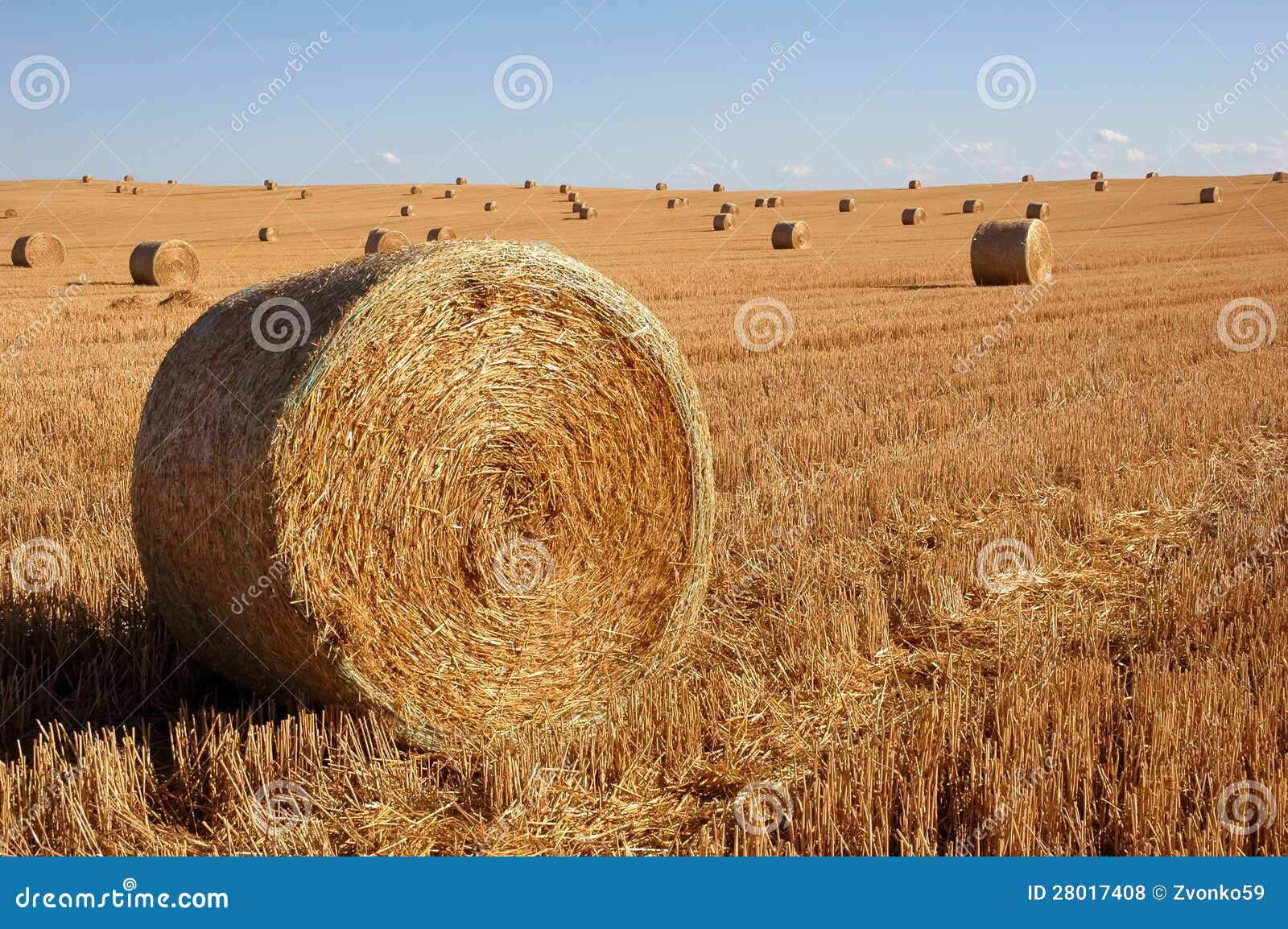 De balen van het stro stock foto. Image of bloem, veevoeder - 28017408