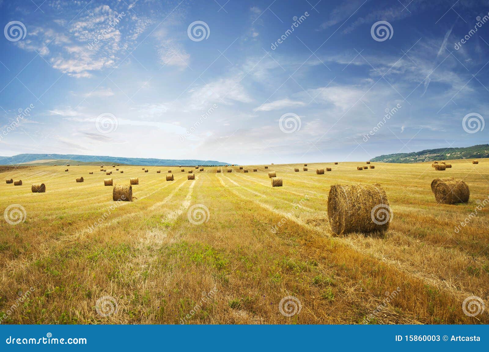 De Balen Van Het Stro Op Landbouwgrond Stock Afbeelding - Image of ...