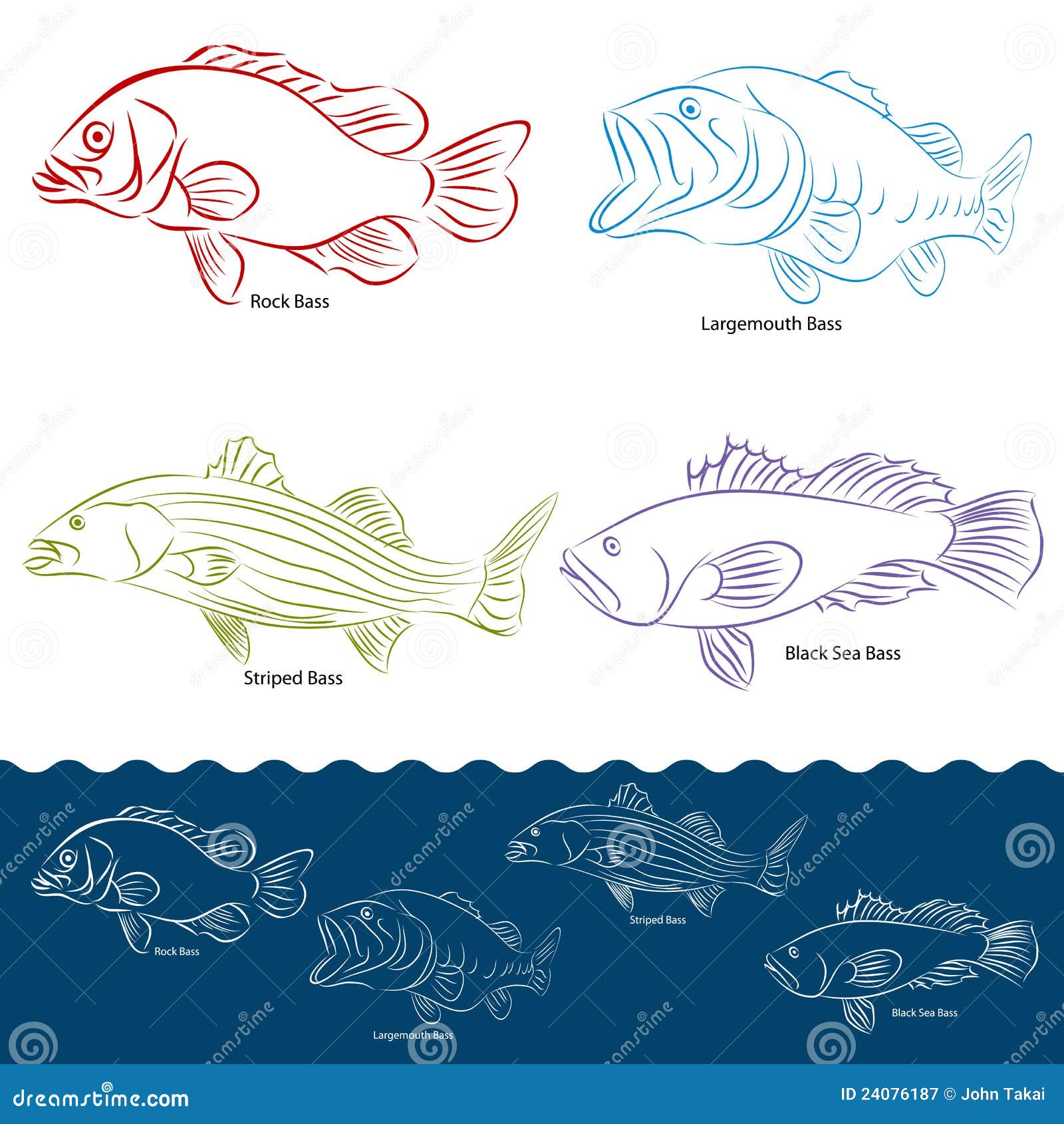 De bas Types van Vissen vector illustratie. Illustration of ...