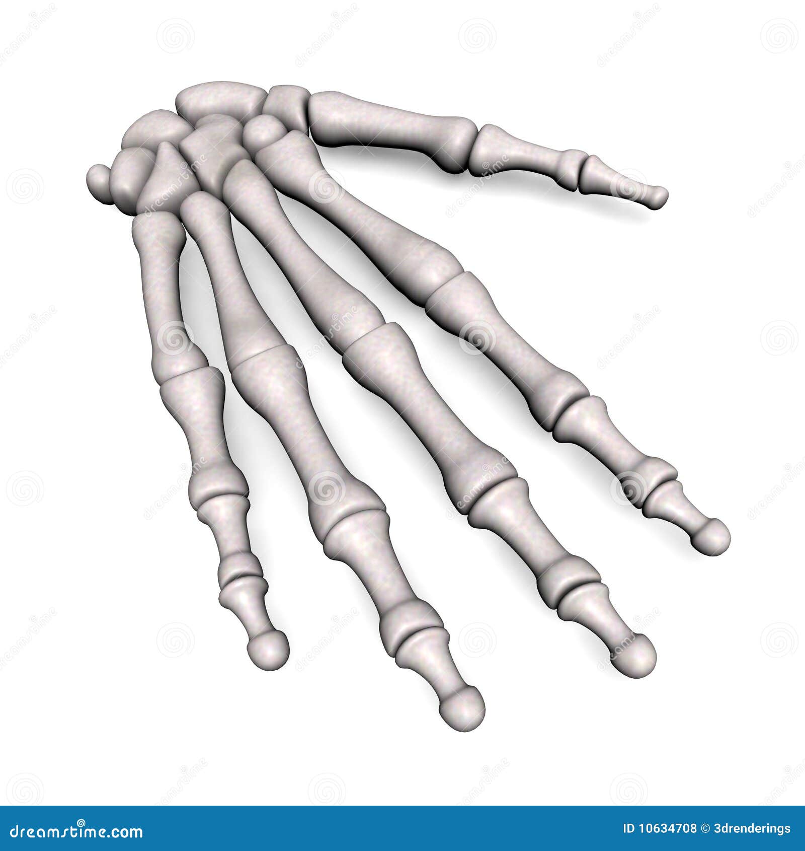 De beenderen van de hand stock illustratie. Illustration of teruggeven ...