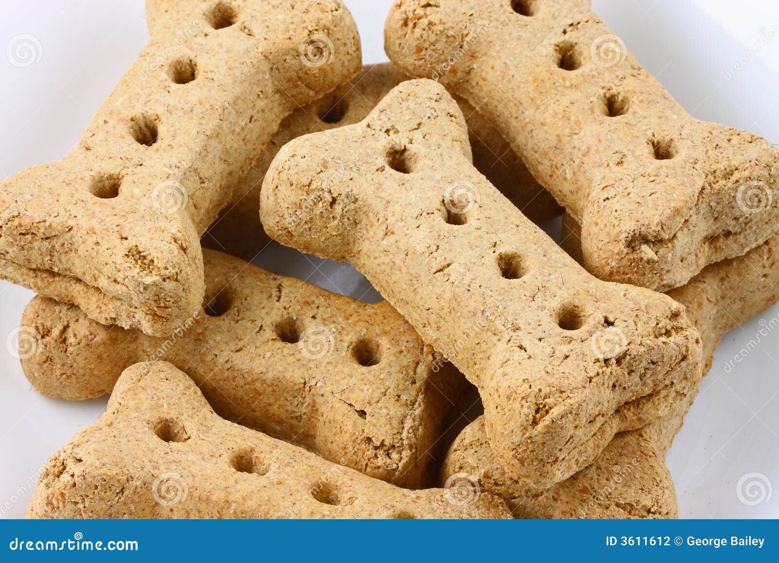 De beenderen van de hond stock foto. Image of voedsel - 3611612