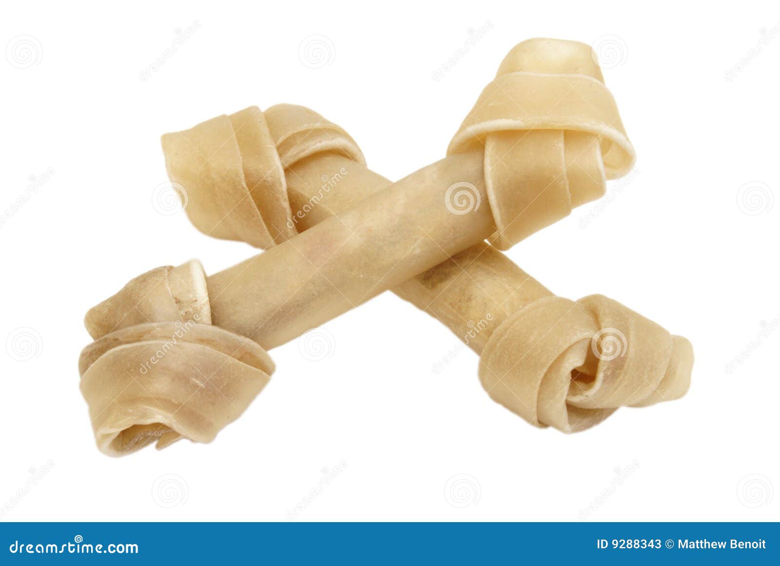 De Beenderen van de hond stock afbeelding. Image of snack - 9288343