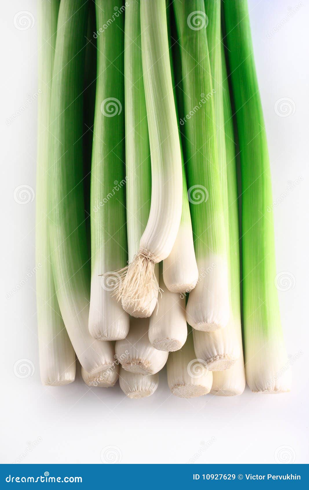 De berg van de prei stock afbeelding. Image of gezondheid - 10927629