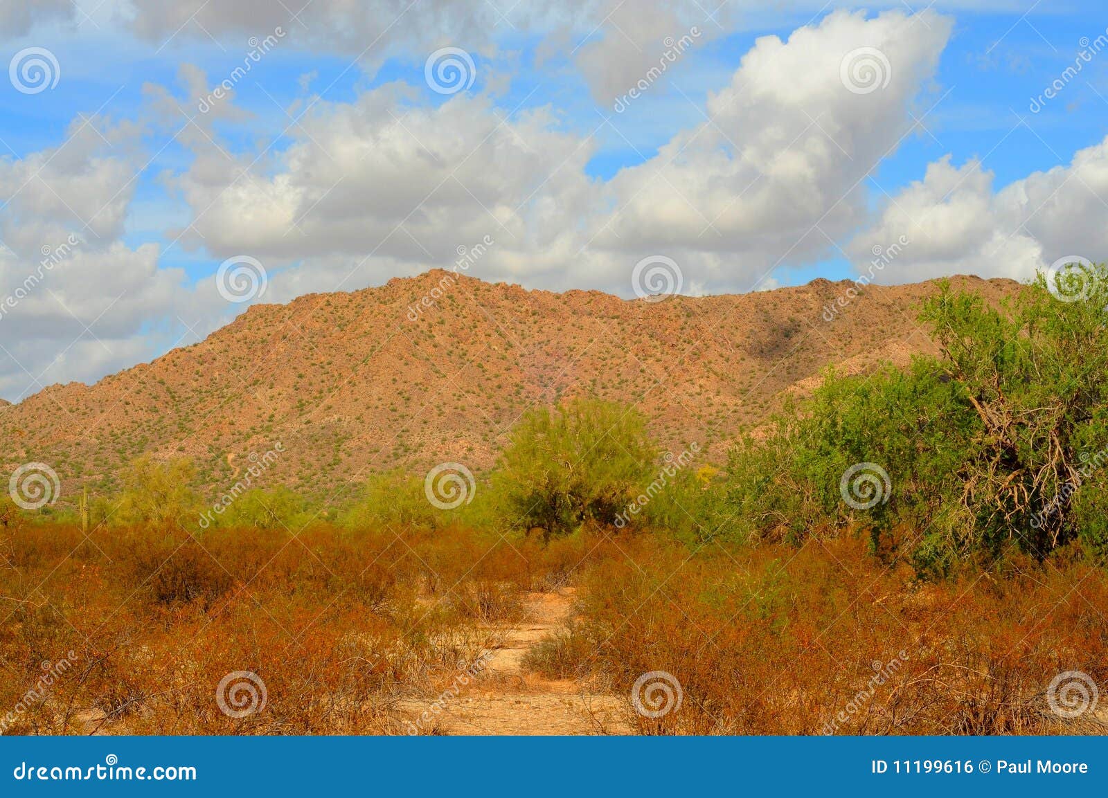 De Bergen van de woestijn stock foto. Image of berg, helder - 11199616
