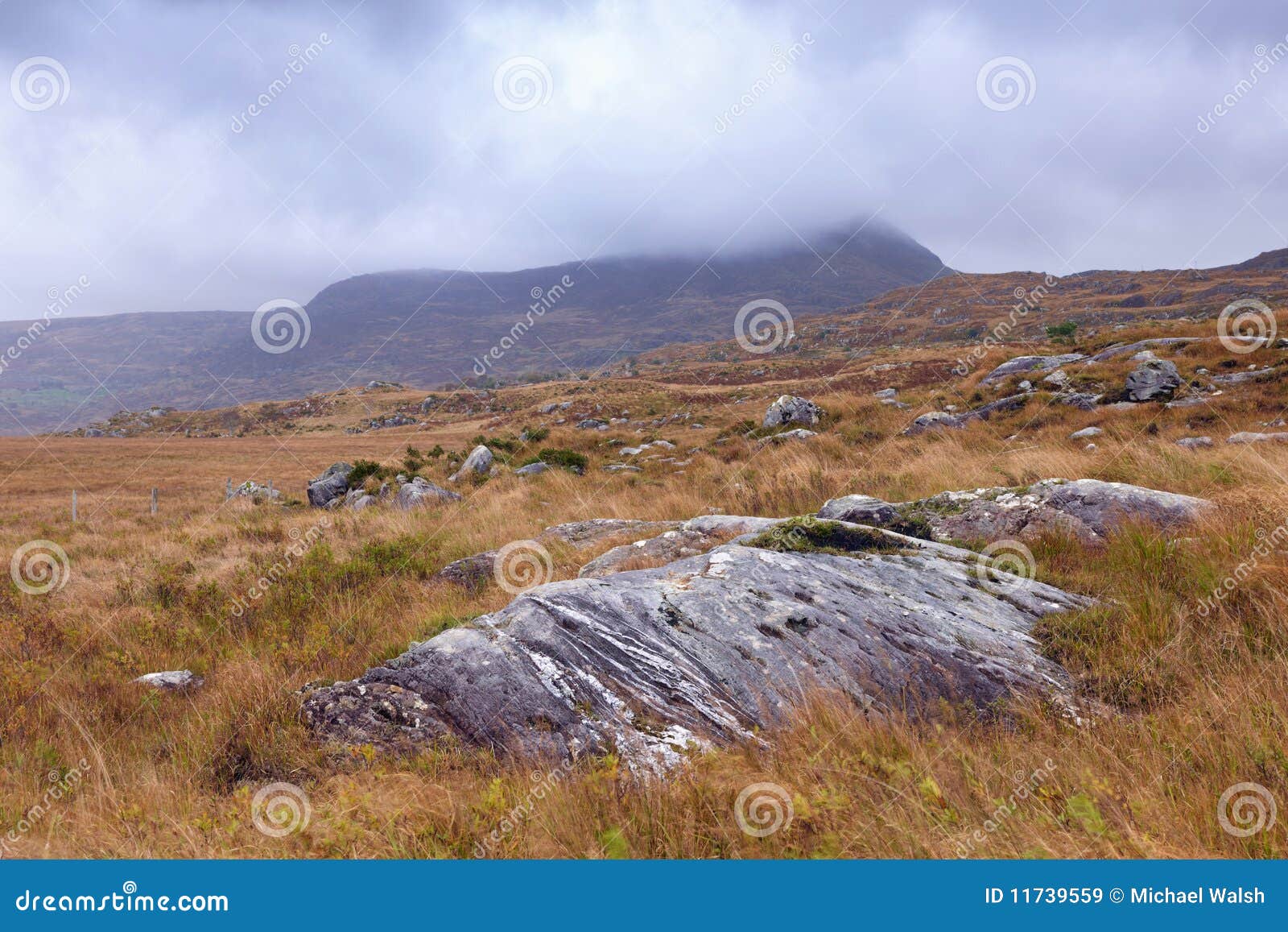 De Bergen van Kerry stock afbeelding. Image of berg, milieu - 11739559