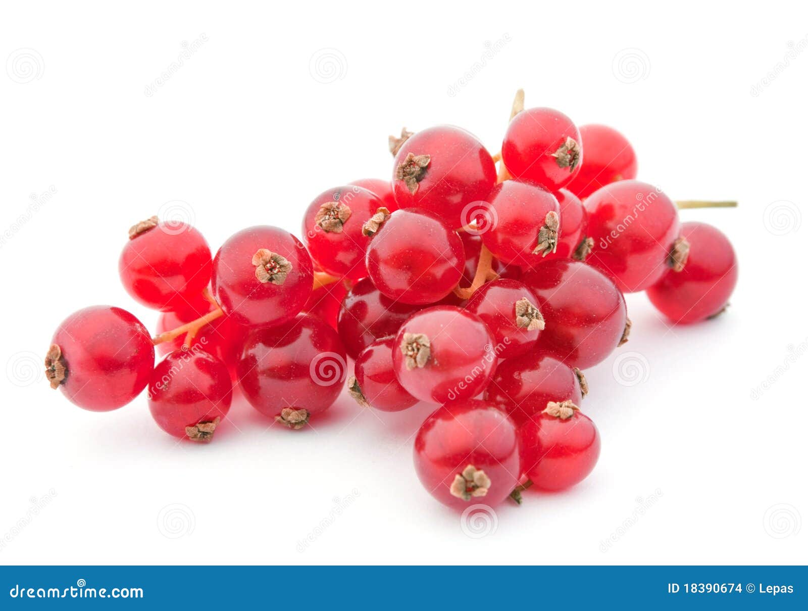 De bes van de rode aalbes stock foto. Image of zoet, vrucht - 18390674