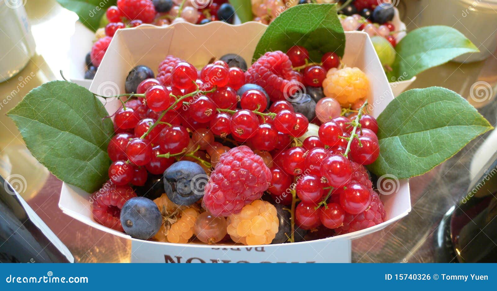 De Bessen van bessen stock foto. Image of divers, rood - 15740326