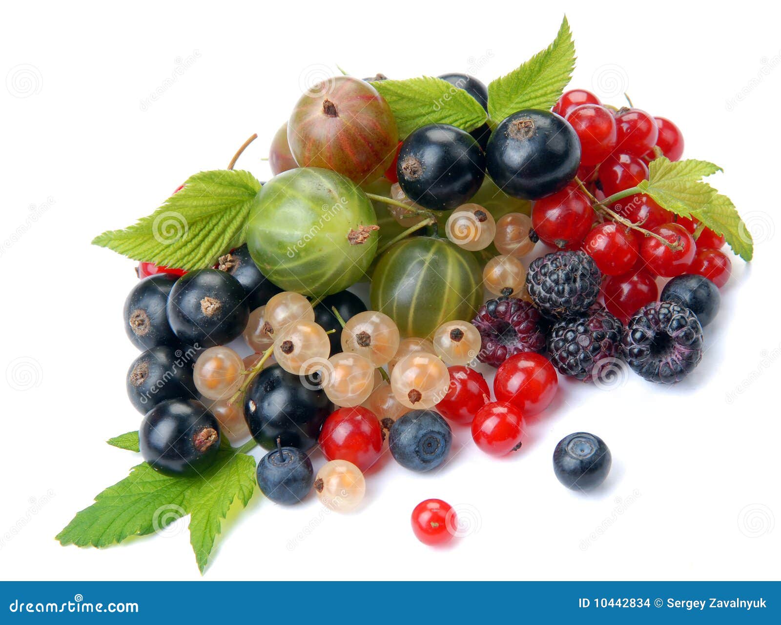 De Bessen Van De Zomer Met Bladeren Stock Foto - Image of vitamine ...