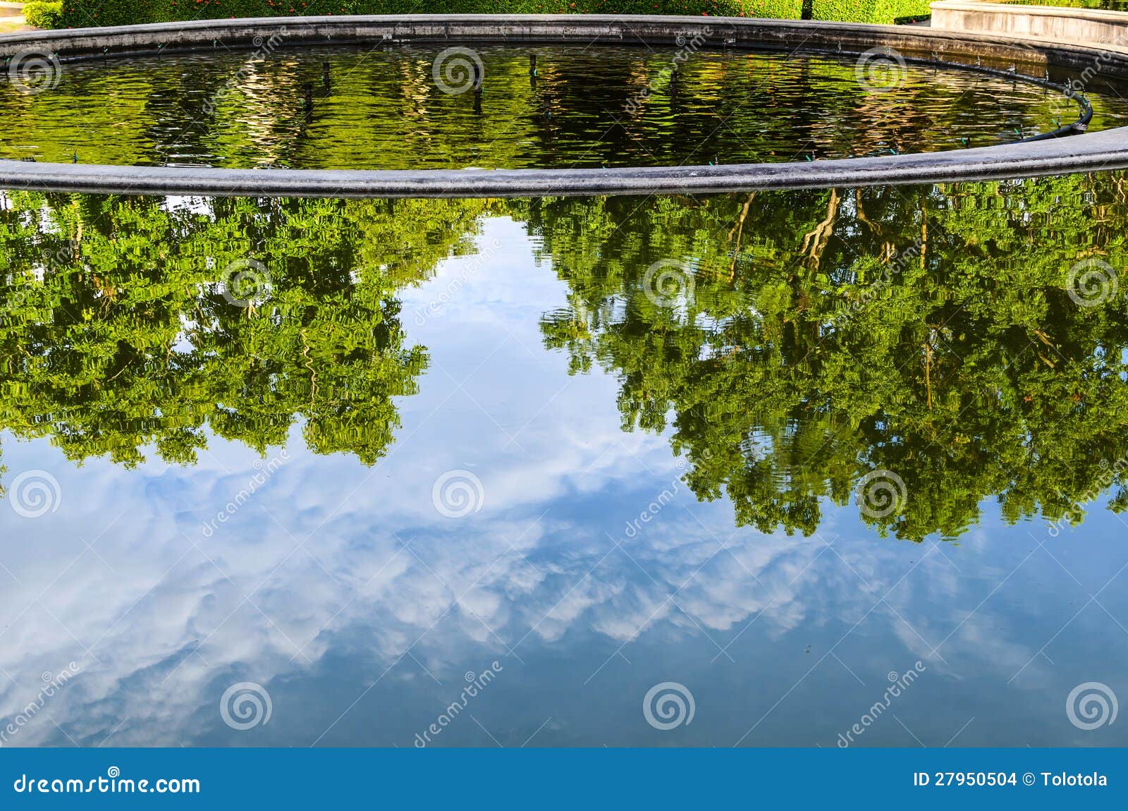 De Bezinning Van Bomen Over Het Water Stock Foto - Image of patroon ...
