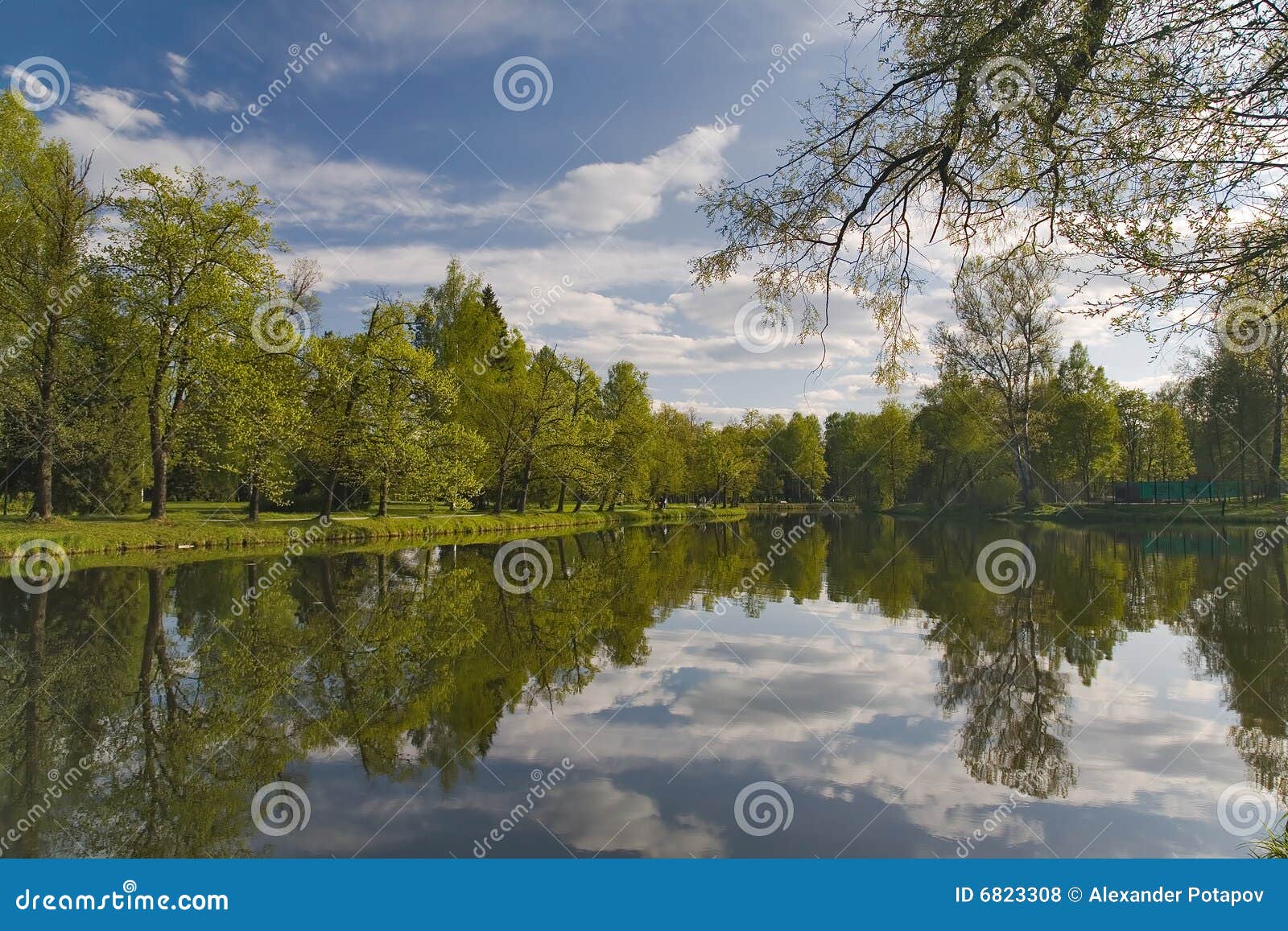 De Bezinning Van Wolken En Van Bomen in Vijver Stock Foto - Image of ...