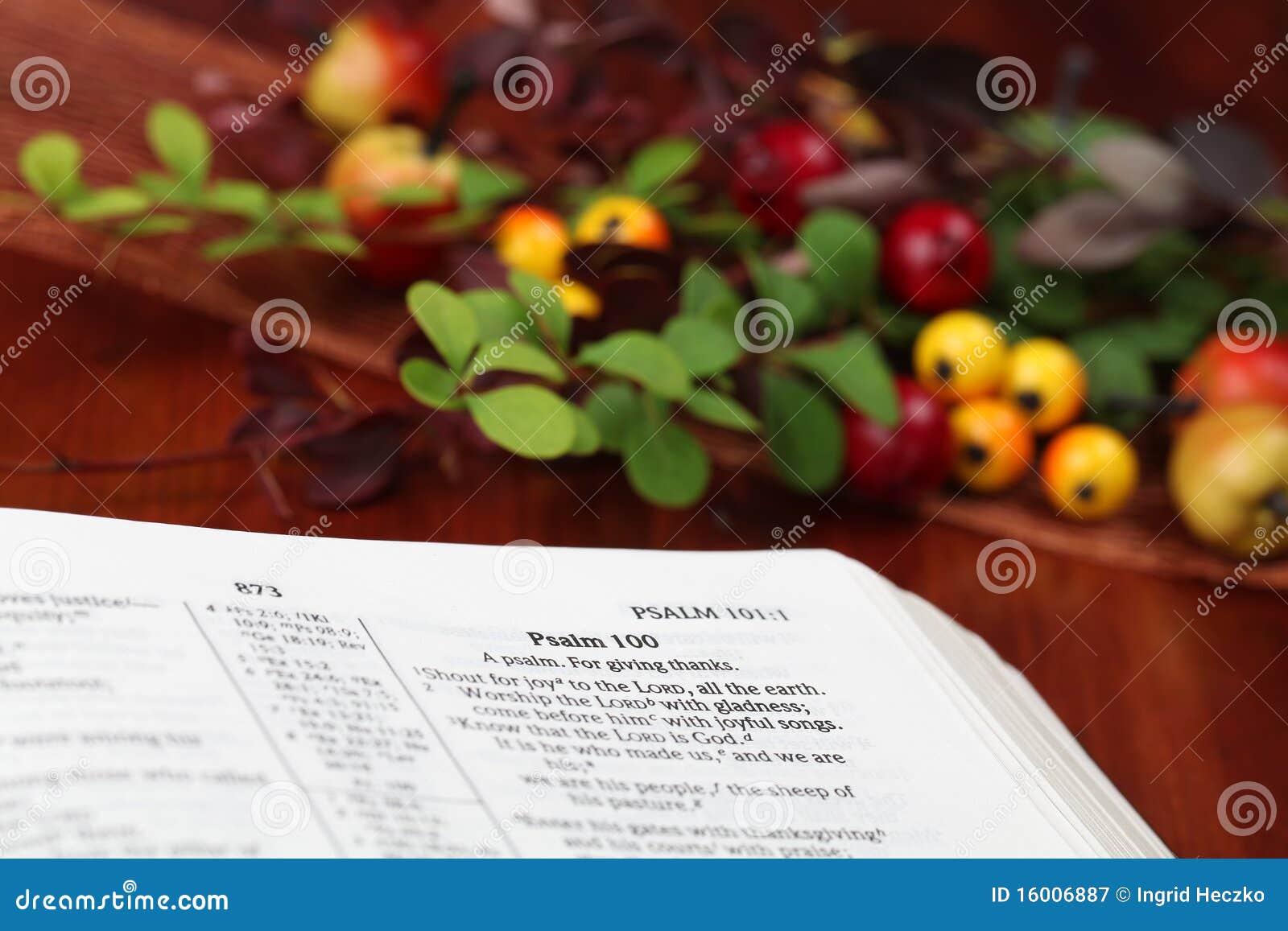 De Bijbel Van De Dankzegging Stock Afbeelding - Image of vrucht ...
