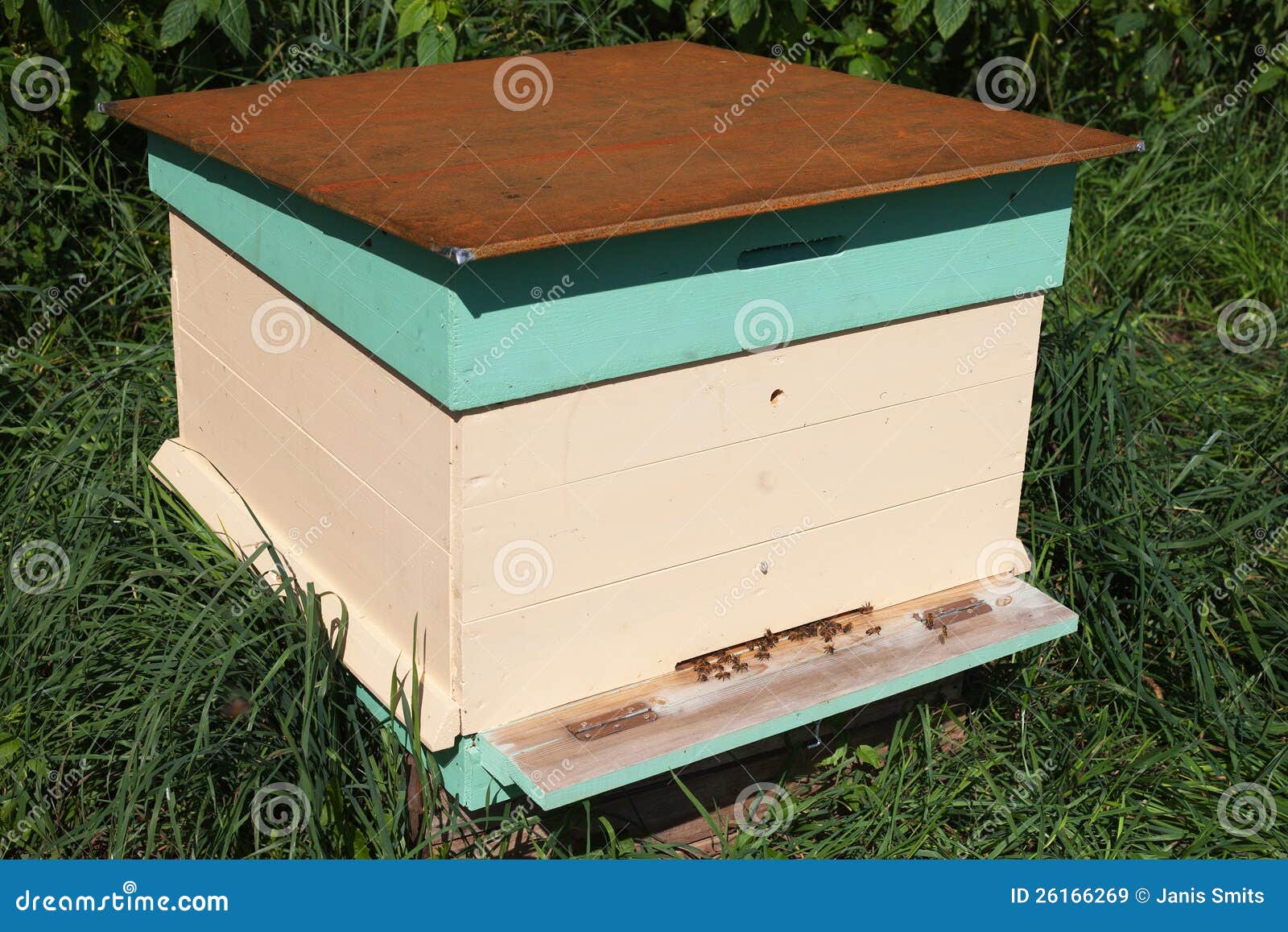 De bijenkorf van de bij. stock afbeelding. Image of honingbij - 26166269