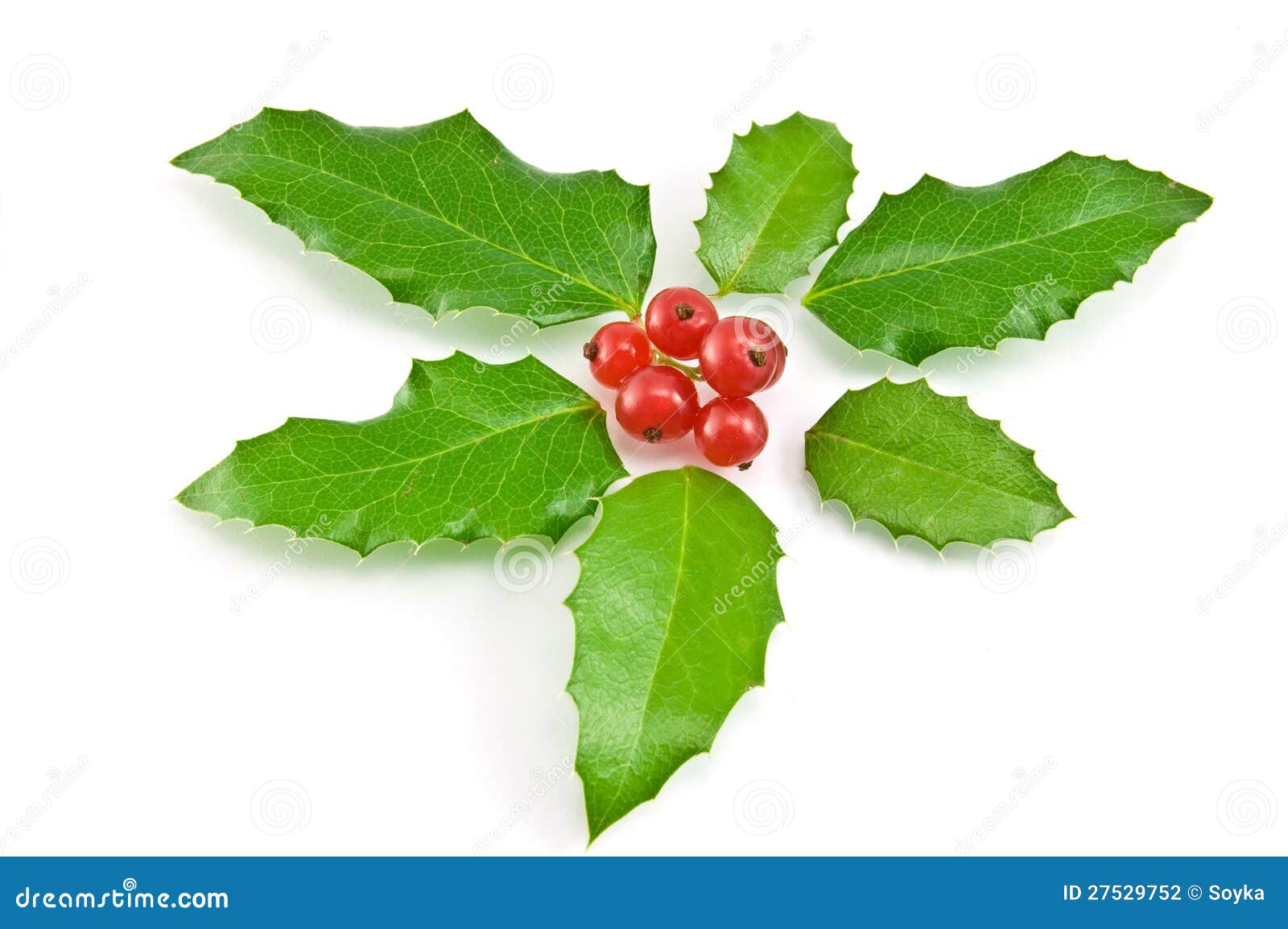 De Bladeren En De Bessen Van De Hulst Stock Foto - Image of vrucht ...