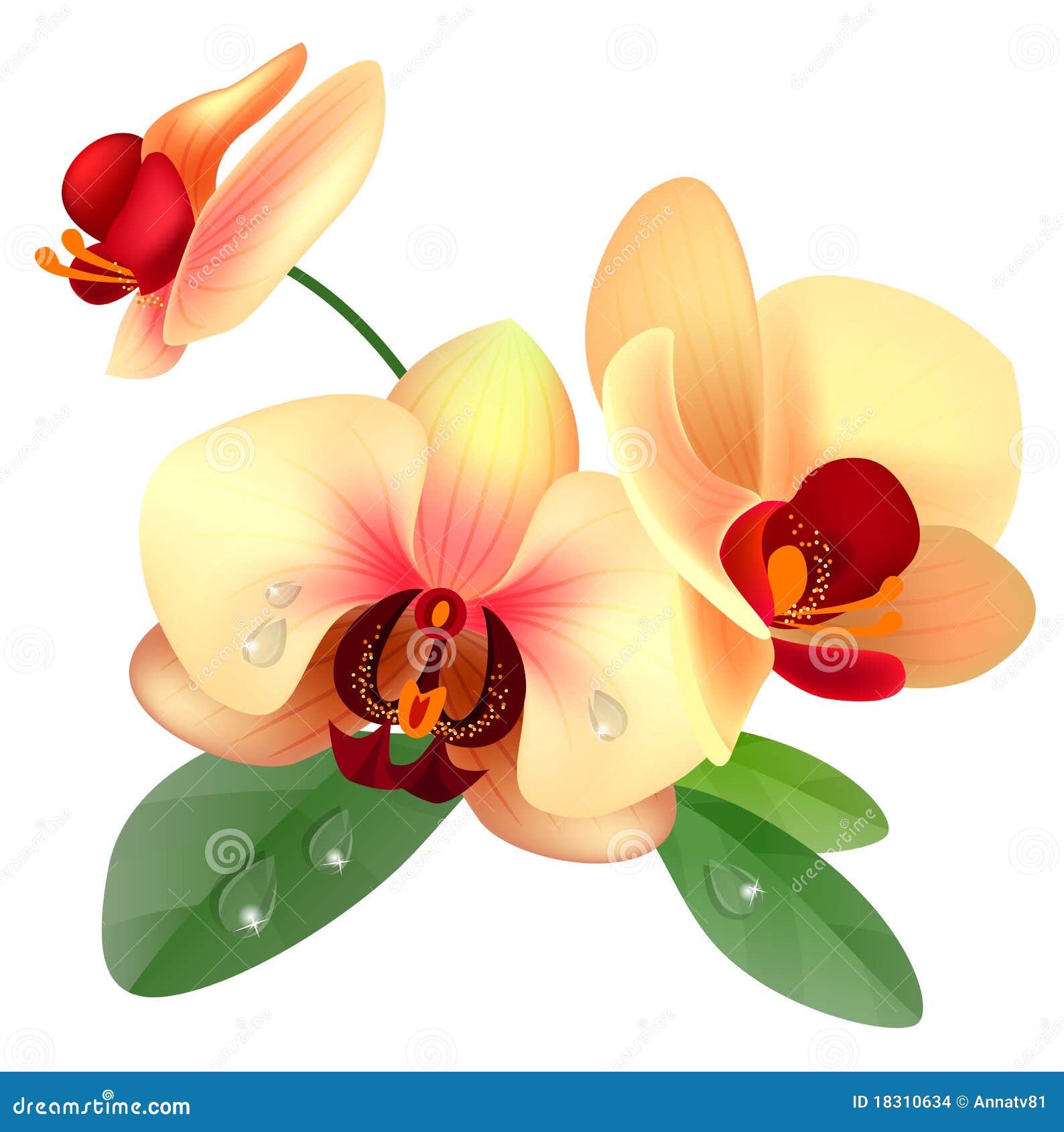 De bloem van de orchidee vector illustratie. Illustration of lente ...