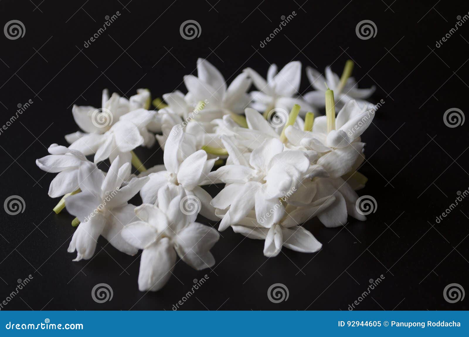 De bloemen van de jasmijn stock afbeelding. Image of boeket - 92944605