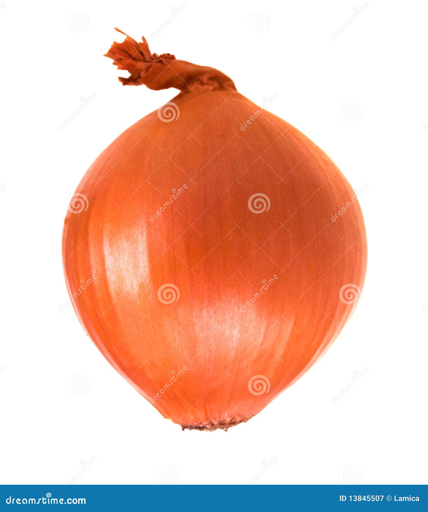 De bol van de ui stock afbeelding. Image of geur, sluit - 13845507