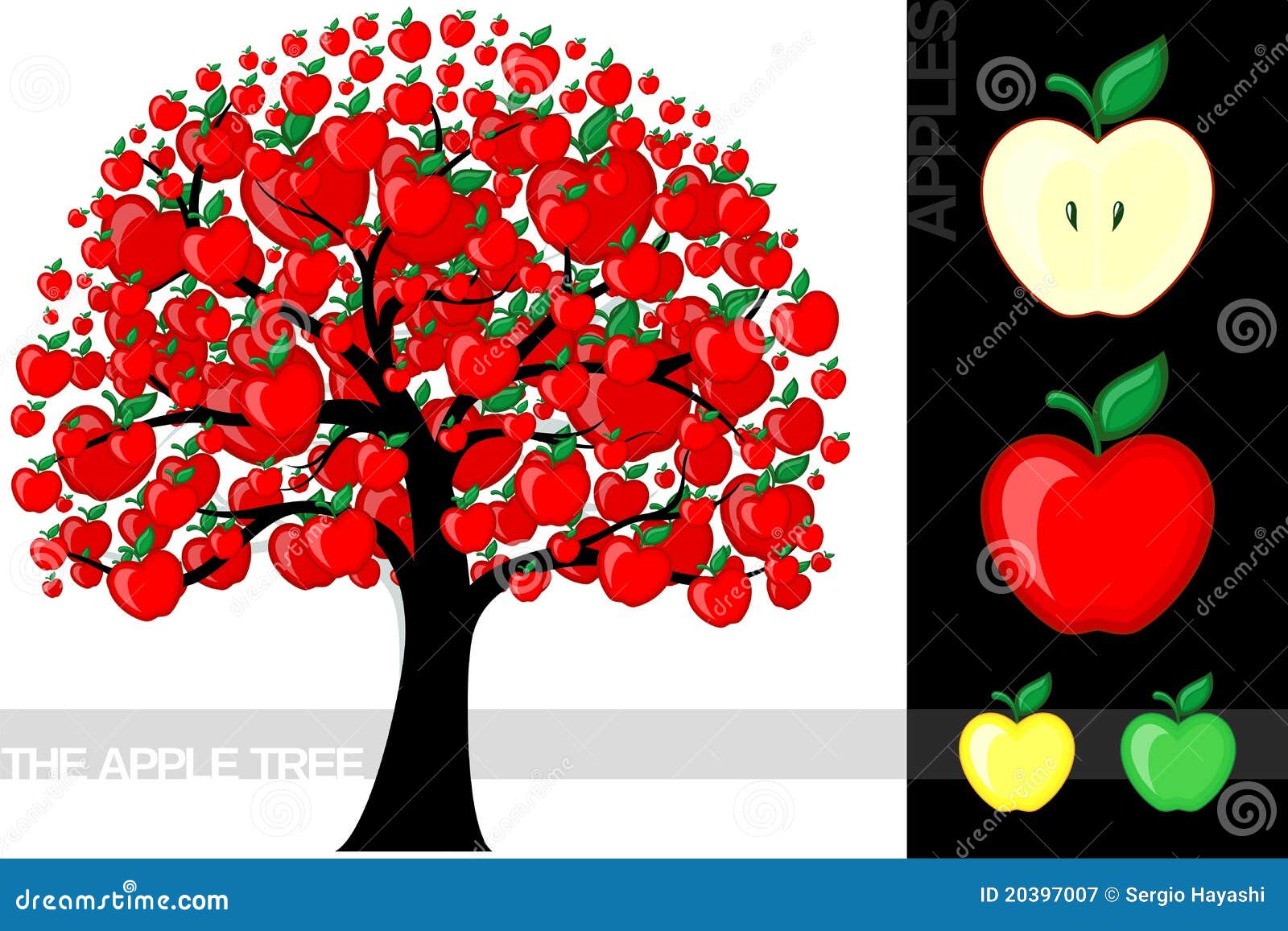 De boom van de appel vector illustratie. Illustration of zomer - 20397007