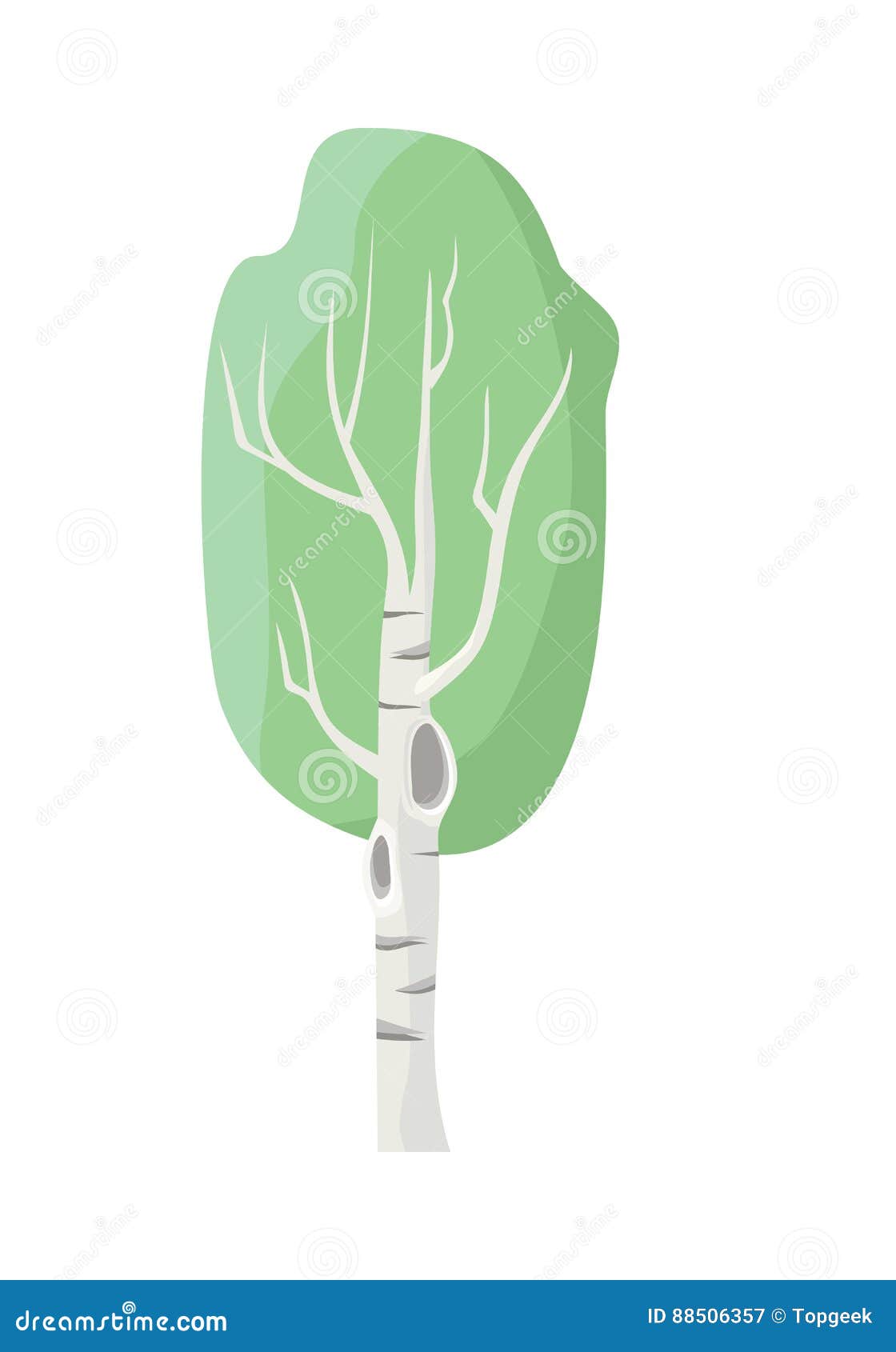 De Boom Van De Berk Met Groene Bladeren Vector Illustratie ...