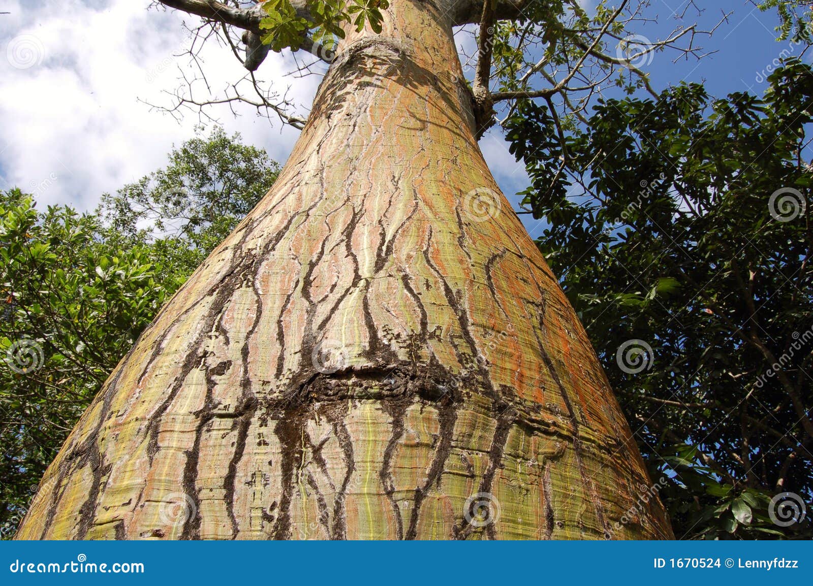 De boom van de boomstam stock foto. Image of schittering - 1670524