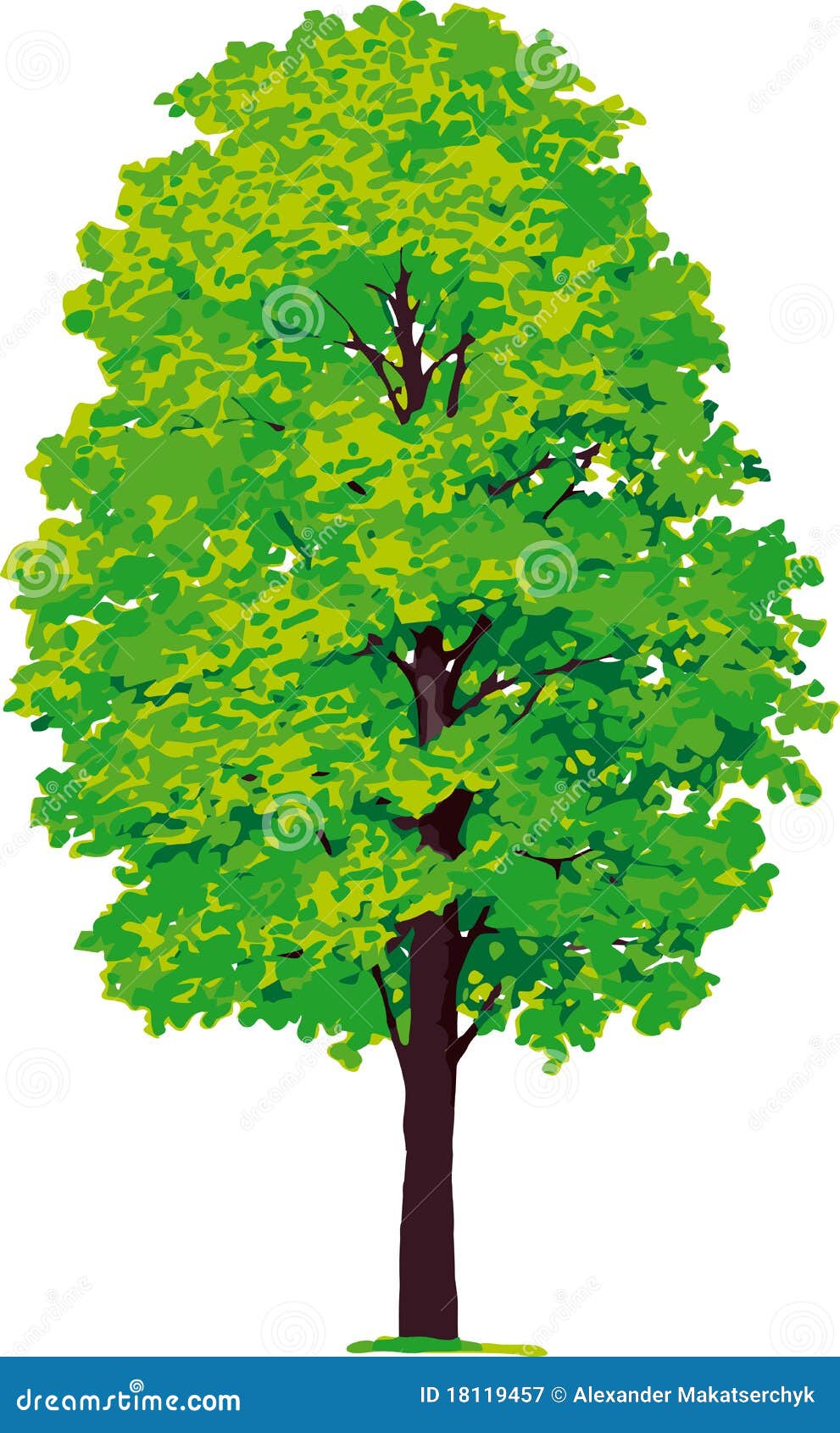 De Boom Van De Esdoorn. Vector Vector Illustratie - Illustration of ...