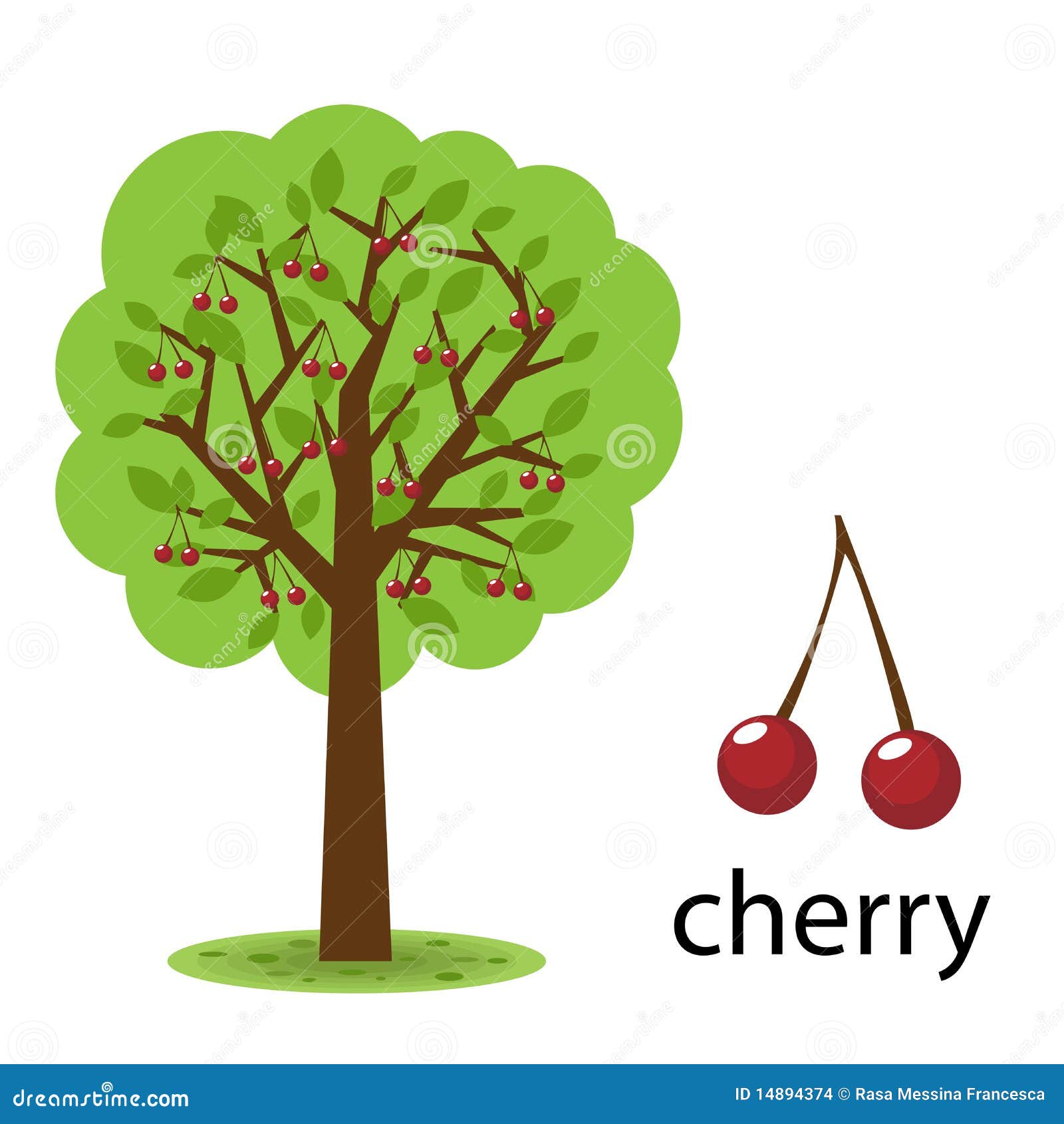 De boom van de kers vector illustratie. Illustration of blad - 14894374