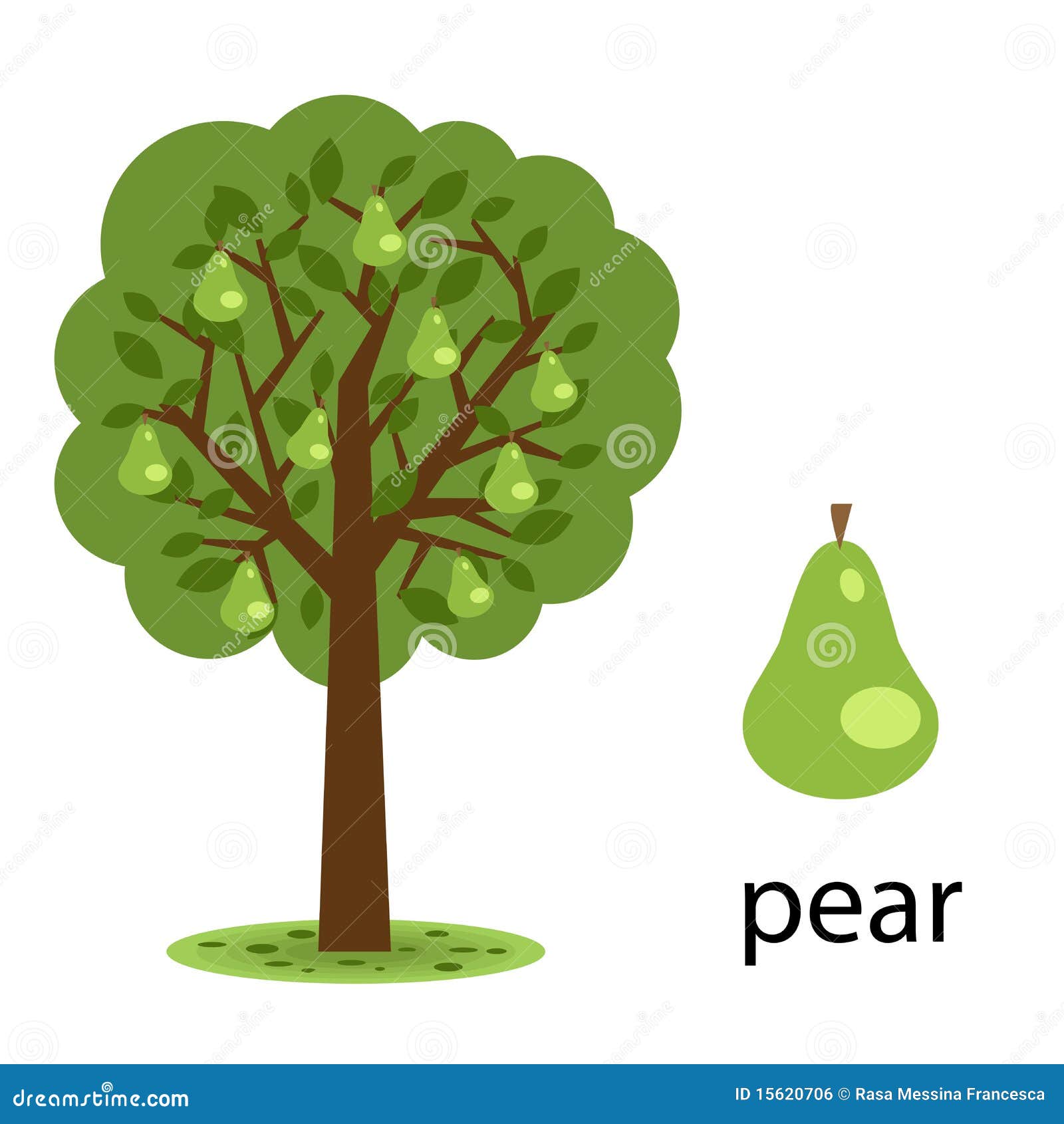 De boom van de peer vector illustratie. Illustration of ontwerp - 15620706