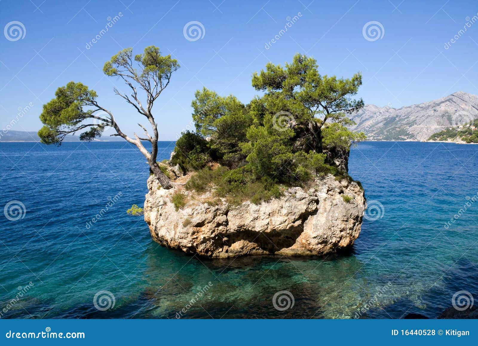 De Boom Van De Pijnboom Op Het Eiland Van De Rots Stock Foto - Image of ...