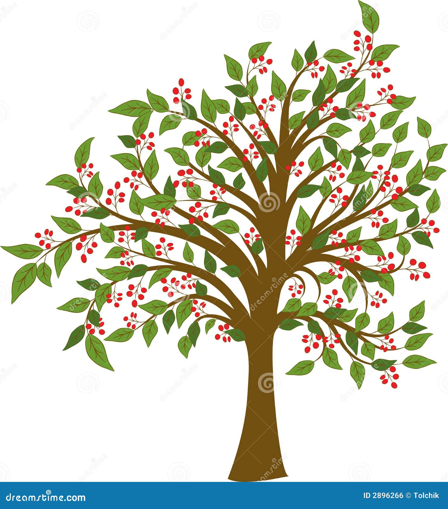 De Boom Van De Zomer, Vector Vector Illustratie - Illustration of ...