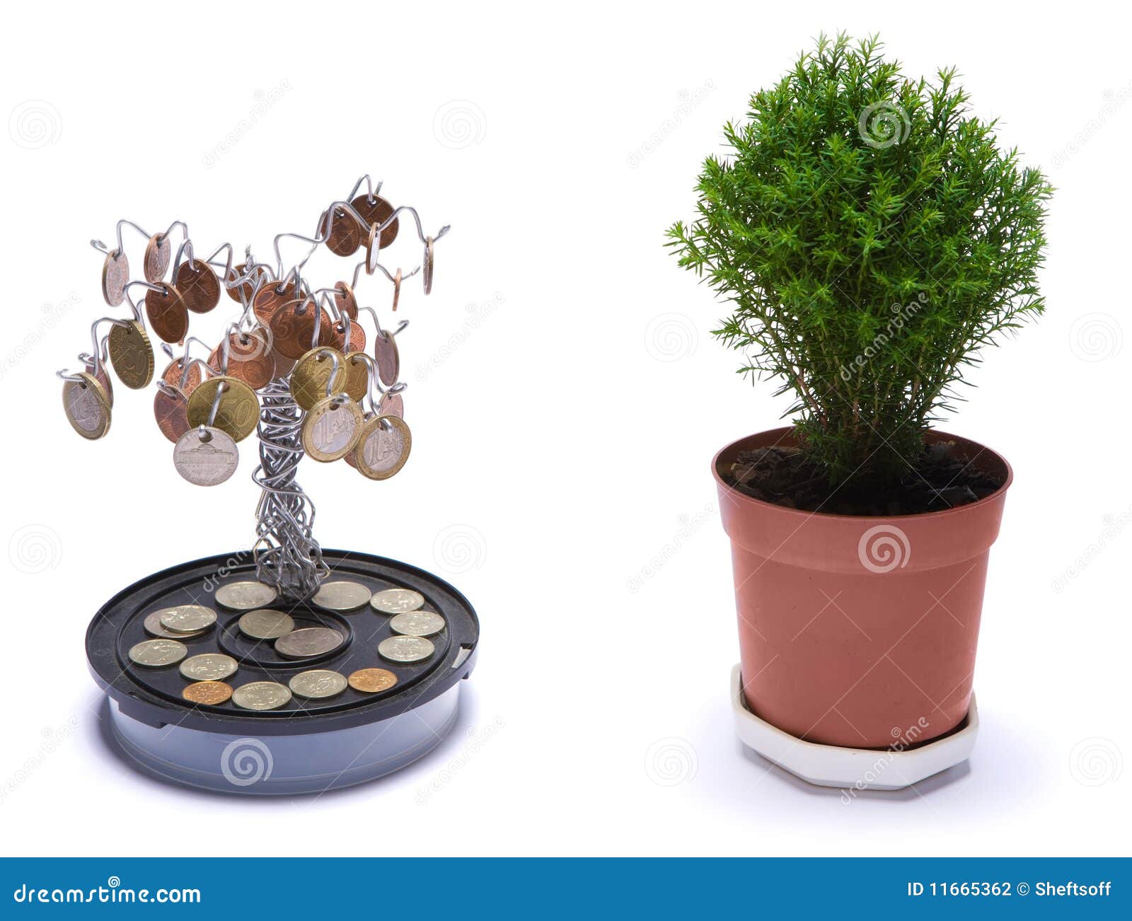 De boom van het geld stock foto. Image of groen, financiën - 11665362