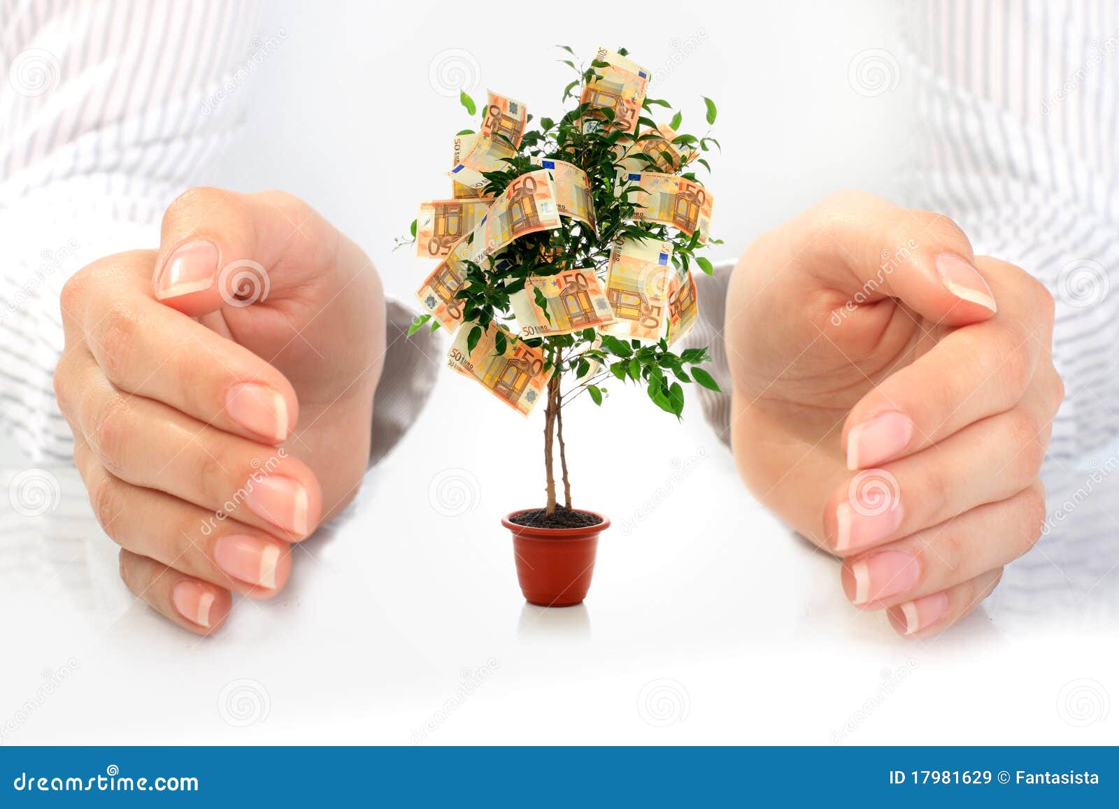 De boom van het geld. stock afbeelding. Image of bankwezen - 17981629