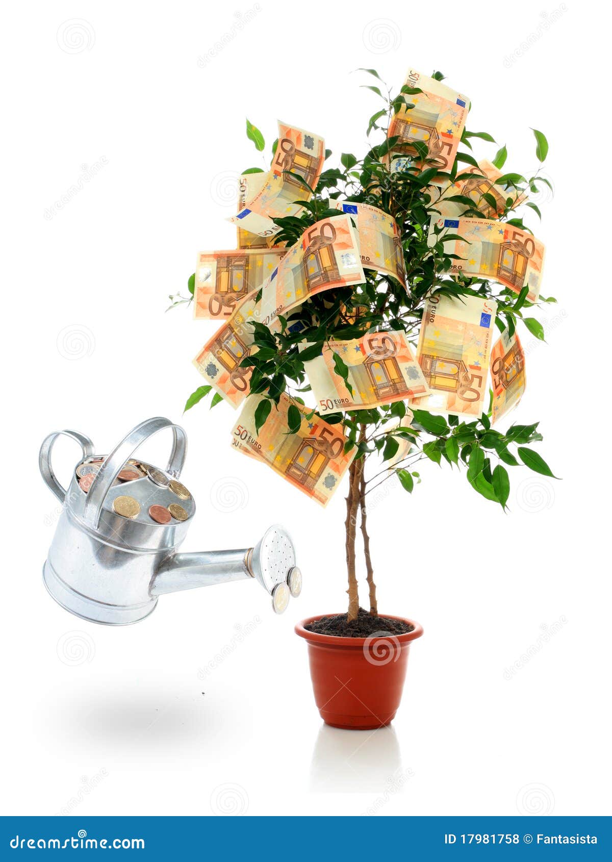 De boom van het geld. stock foto. Image of krediet, bankwezen - 17981758