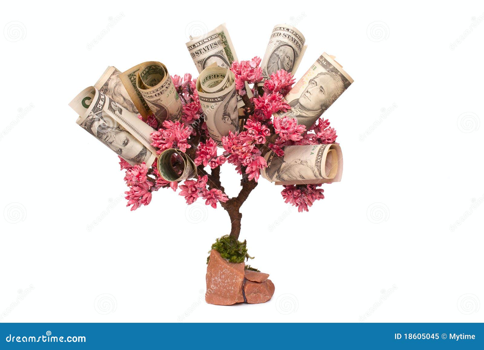 De boom van het geld stock afbeelding. Image of roze - 18605045