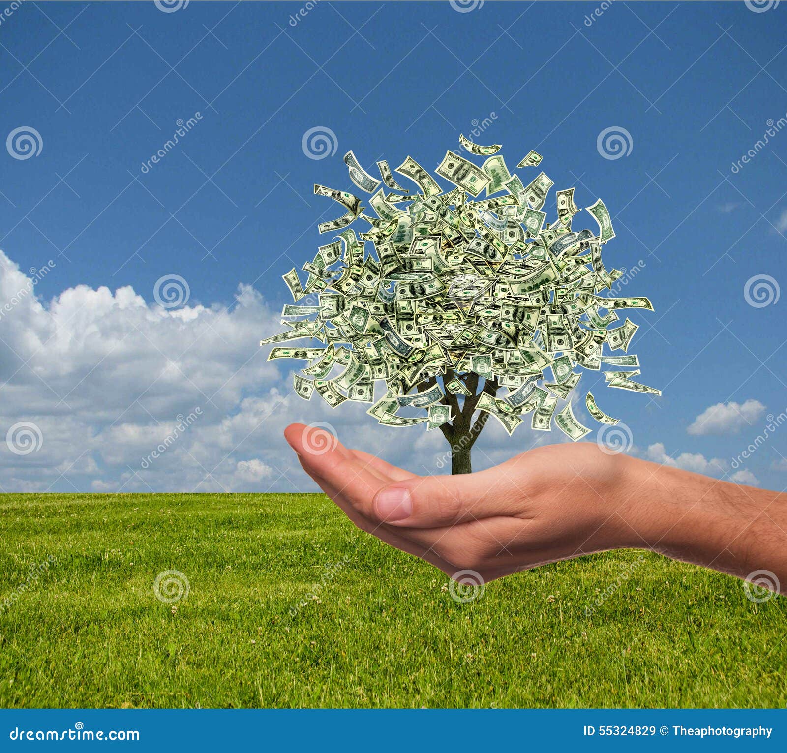 De boom van het geld stock afbeelding. Image of rekening - 55324829