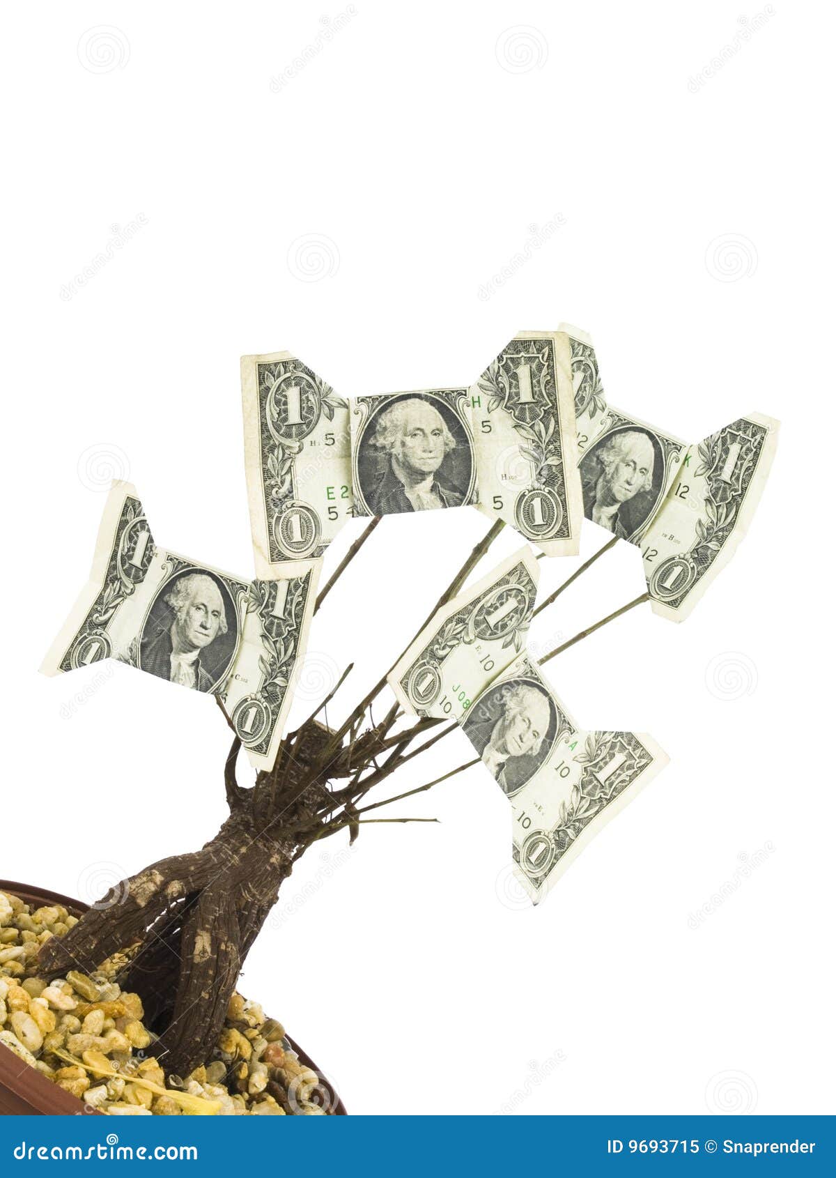 De Boom van het geld stock afbeelding. Image of dollar - 9693715