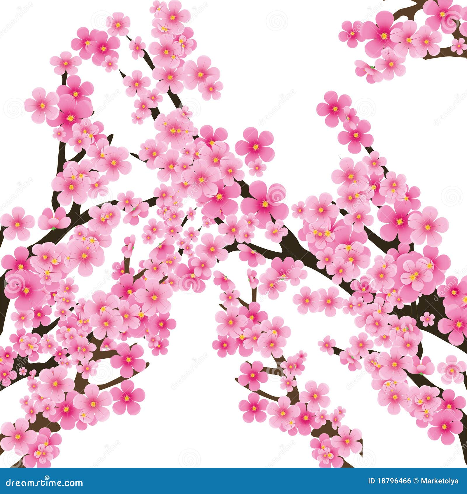 De boom van Sakura vector illustratie. Illustration of bloemen - 18796466