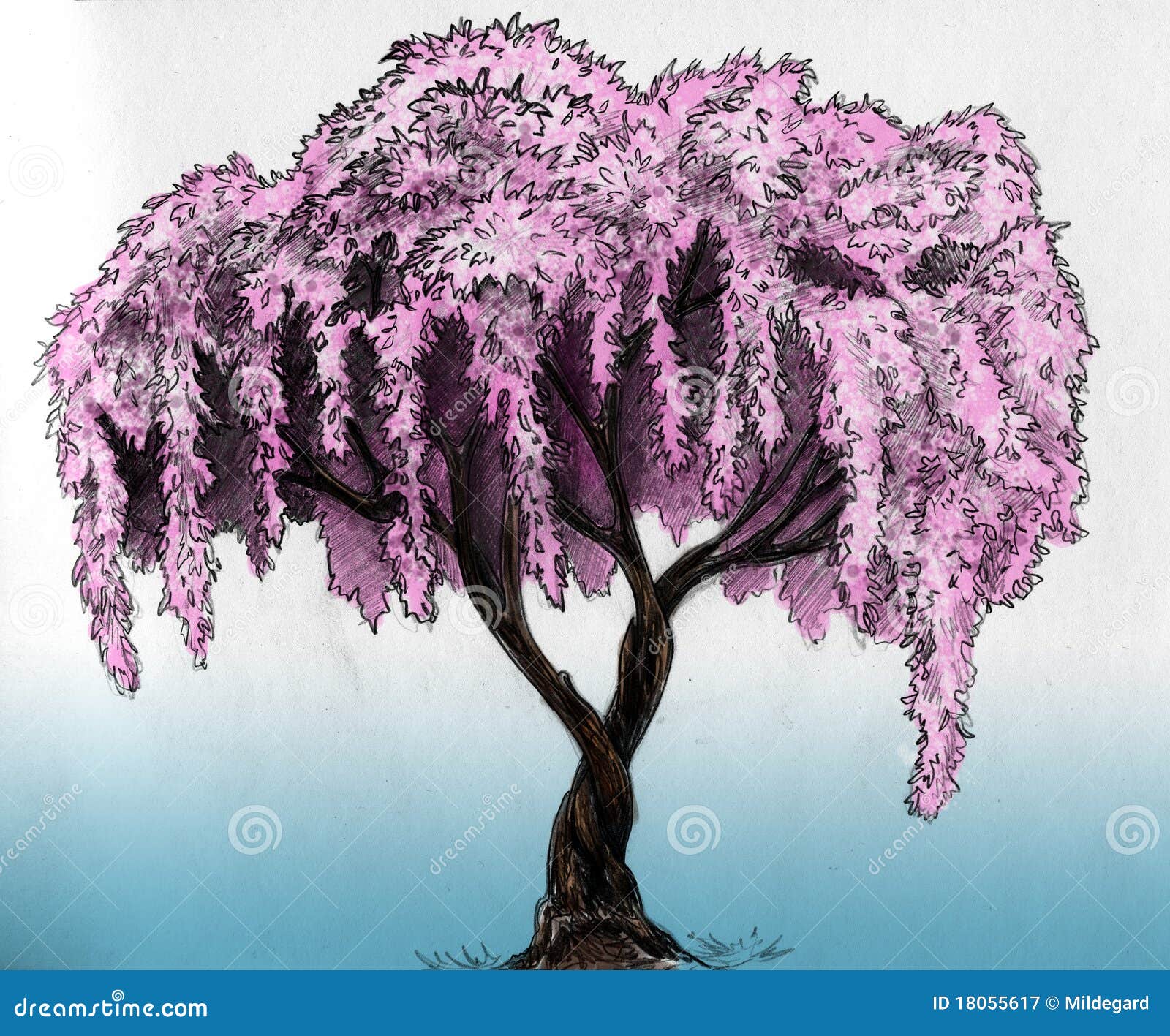 De Boom Van Sakura - Potloodschets Stock Illustratie - Illustration of ...