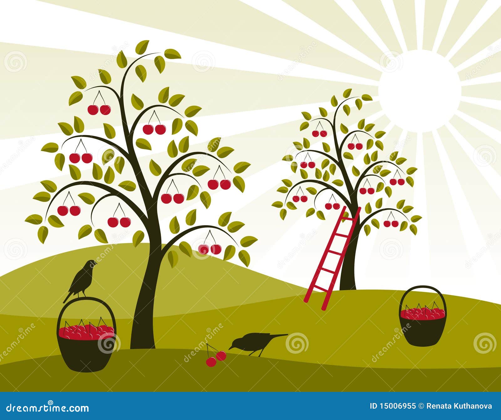 De boomgaard van de kers vector illustratie. Illustration of kaart ...