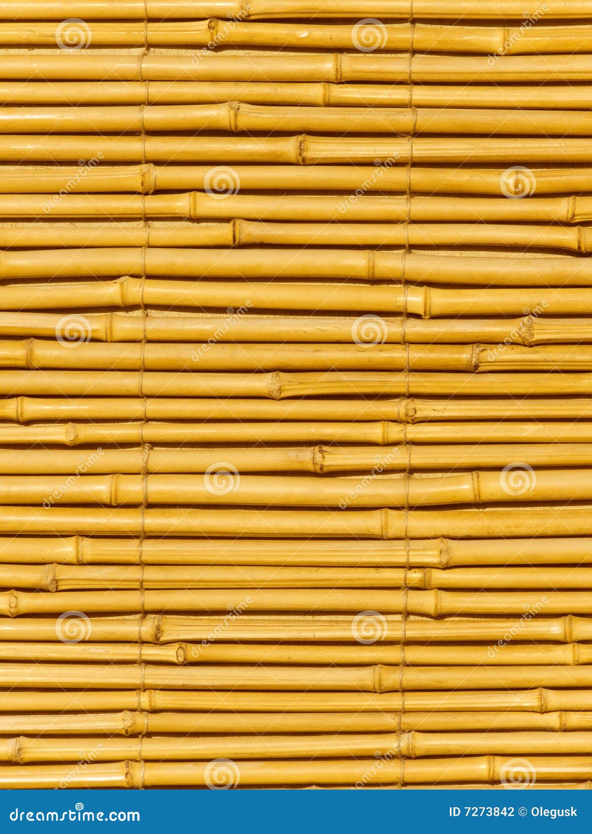 De Boomstammen Van De Boom Een Bamboe Stock Foto - Image of nave ...