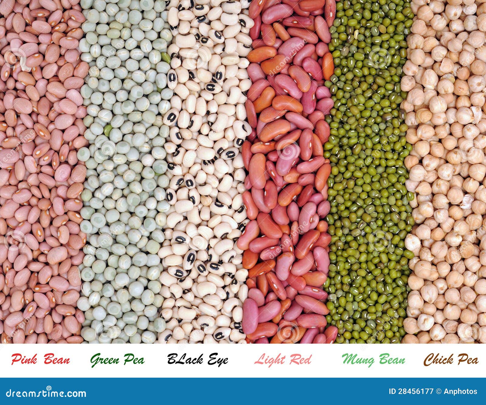 De Boon En De Erwt Van De Mengeling Stock Afbeelding - Image of roze ...