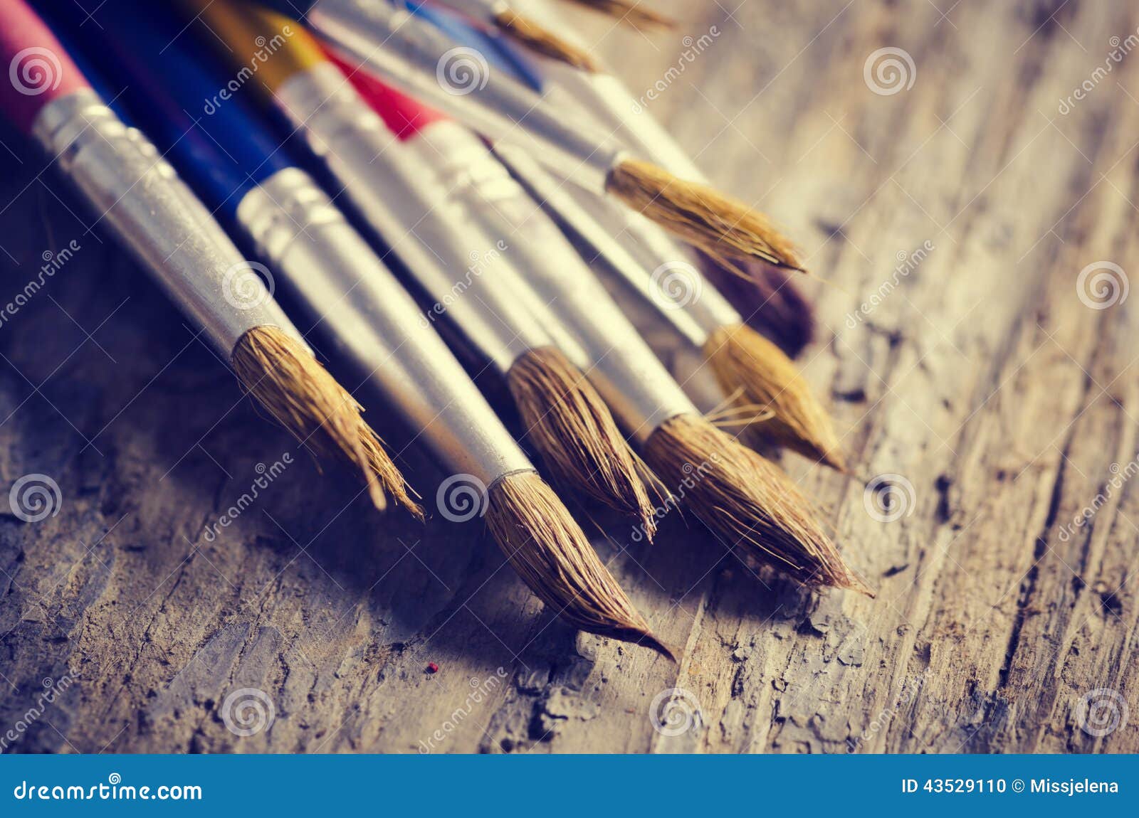 De borstels van de verf stock foto. Image of kunstenaar - 43529110