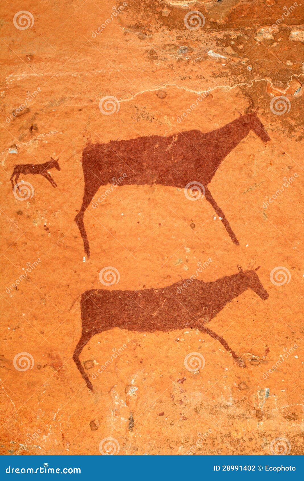 De Bosjesmannen Schommelen Het Schilderen Stock Foto - Image of ...