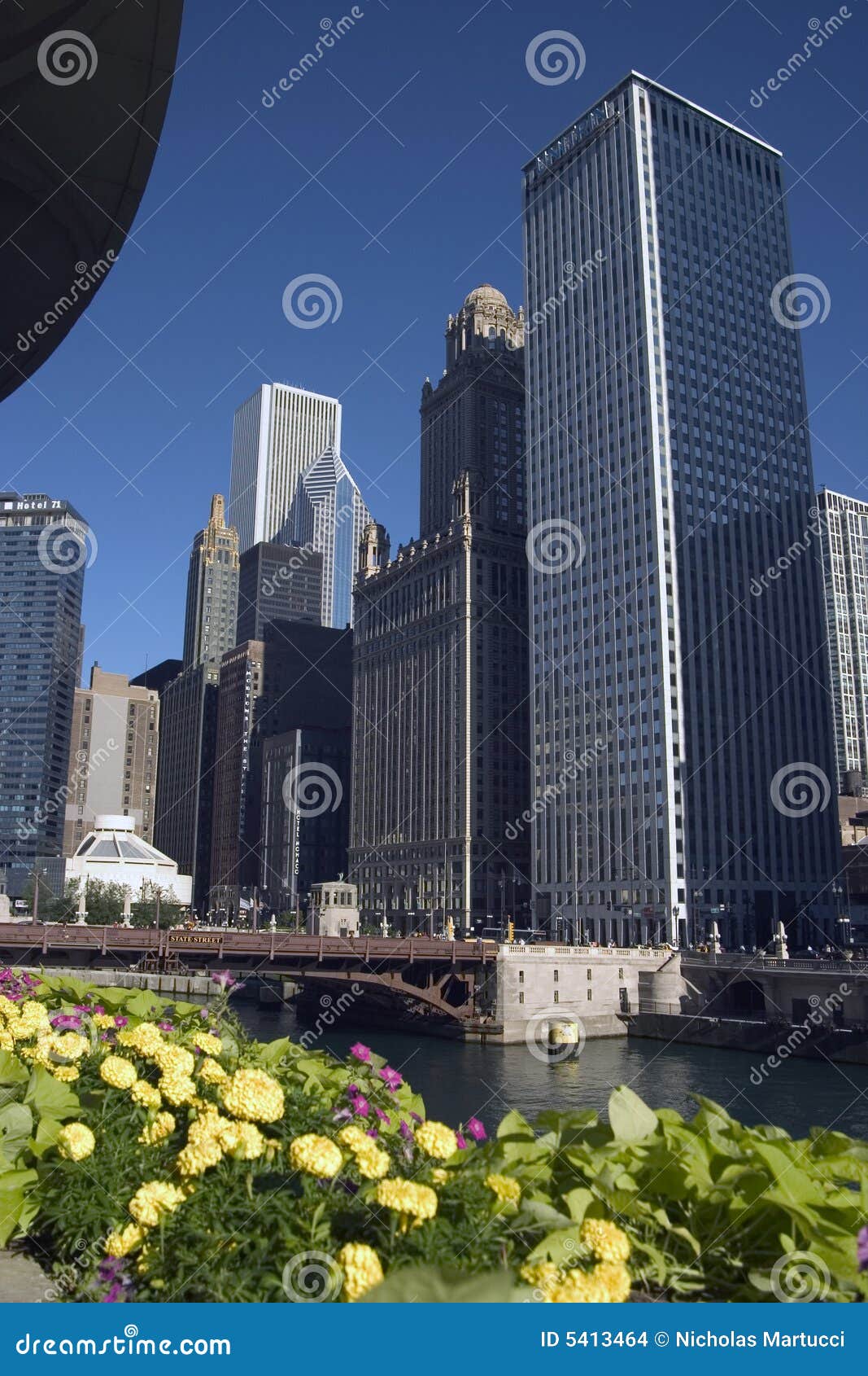 De Brug Van De Straat Van De Staat - Chicago, IL Redactionele Stock ...