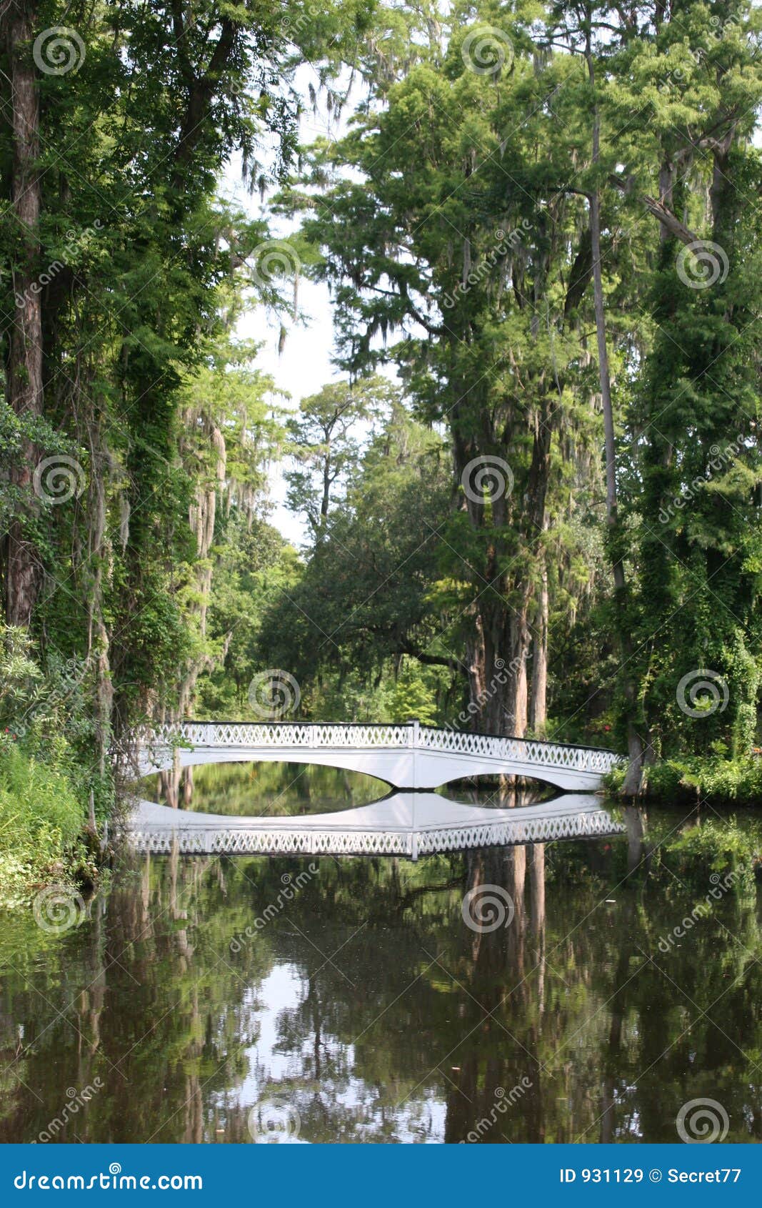 De brug van het moeras stock afbeelding. Image of historisch - 931129